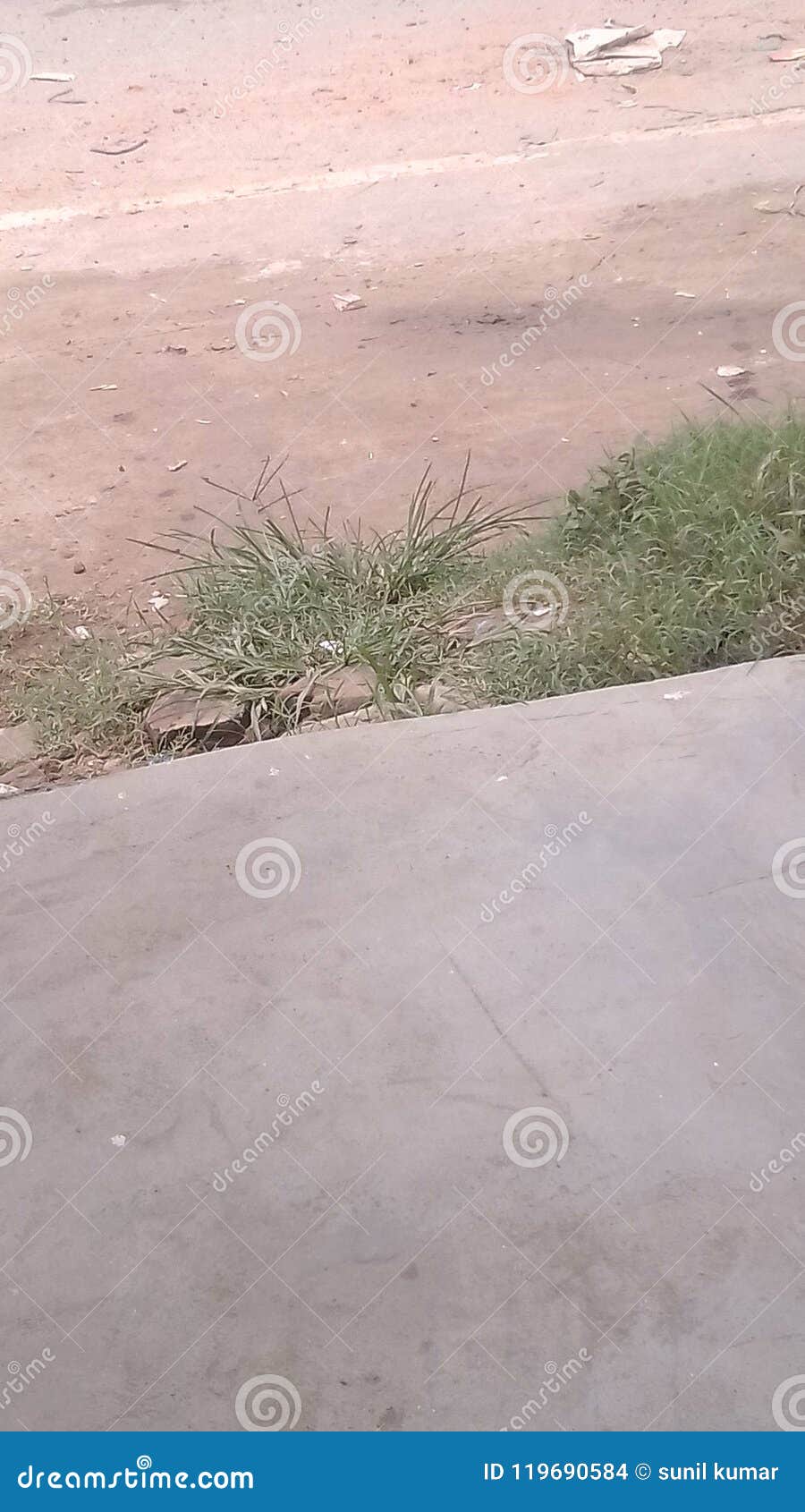 Palant Capture Stock Photos - Free & Royalty-Free Stock Photos from ...