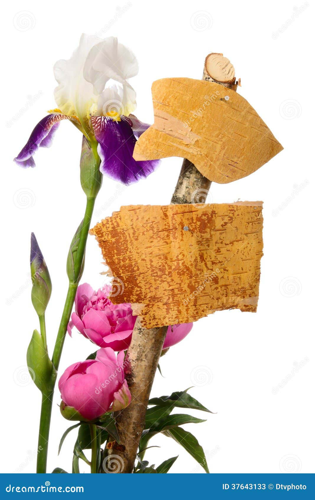 Road pointers stock image. Image of flower, design, isolated - 37643133