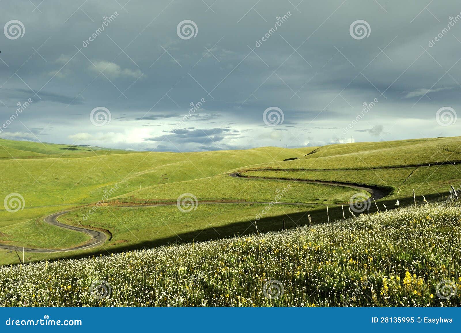 Road in prairie stock image. Image of travel, nature - 28135995