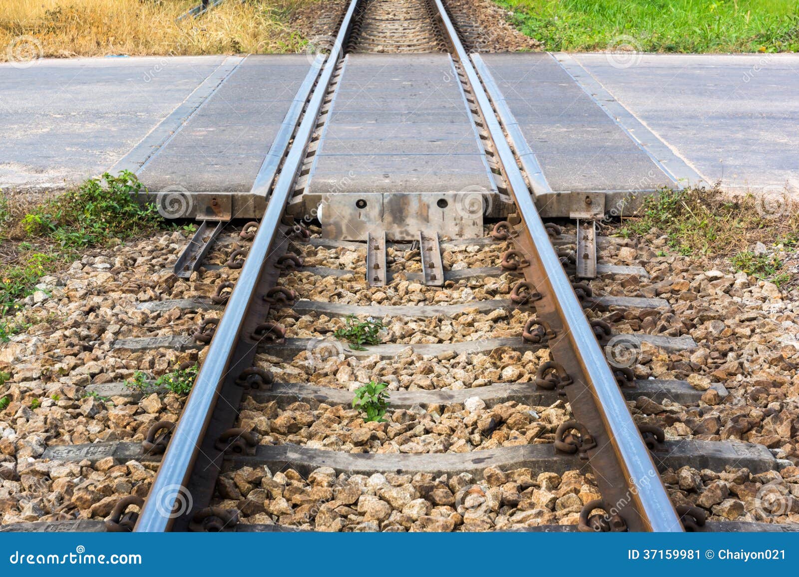 Road railroad crossing stock image. Image of landscape - 37159981