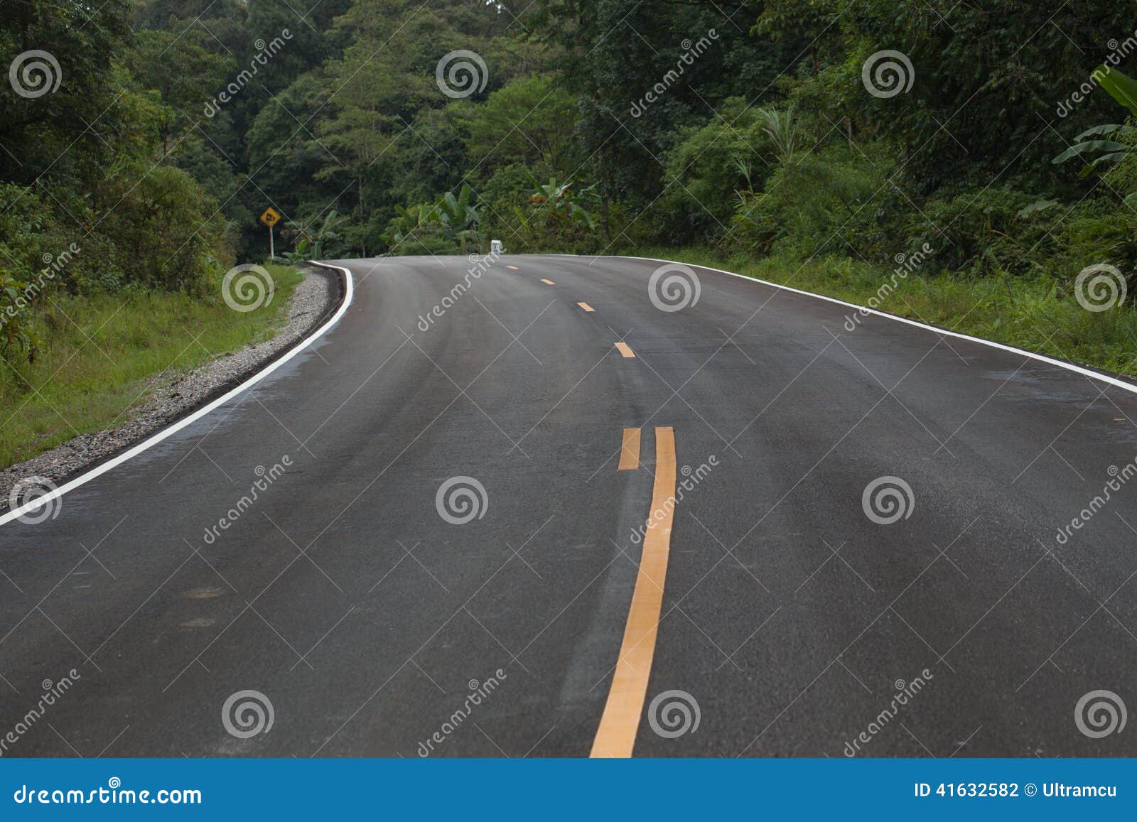 The Road through the Rainforest Stock Photo - Image of travel, land ...