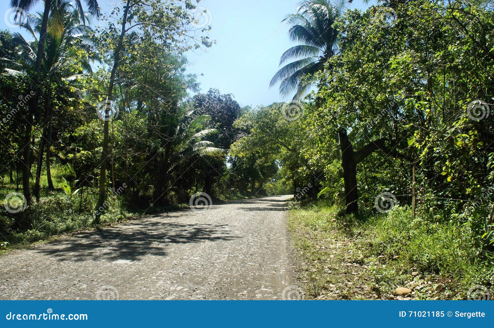 The Road through the Rainforest. Philippines Stock Image - Image of ...