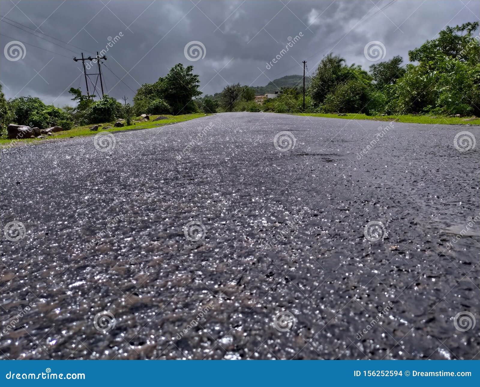 Road stock photo. Image of tree, waterdrops, nature - 156252594