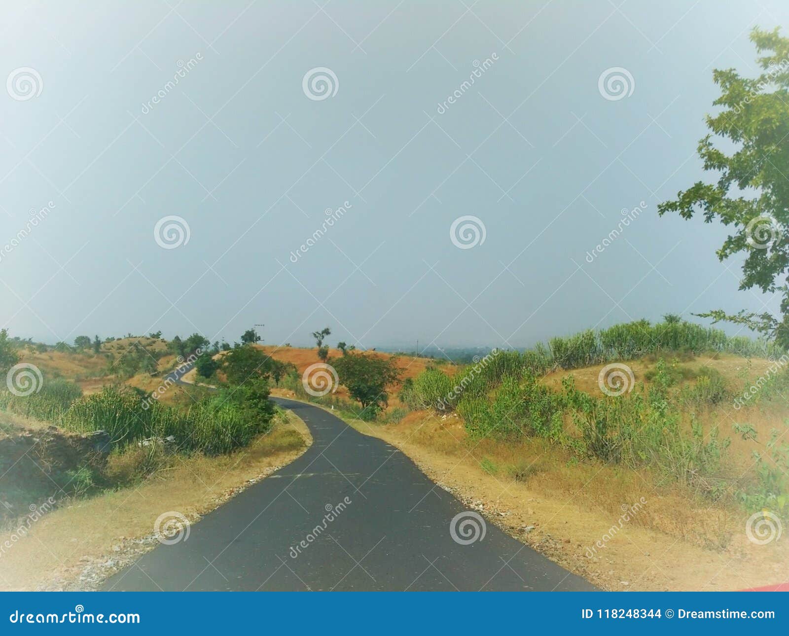 Road of Rajasthan stock photo. Image of royal, desi - 118248344