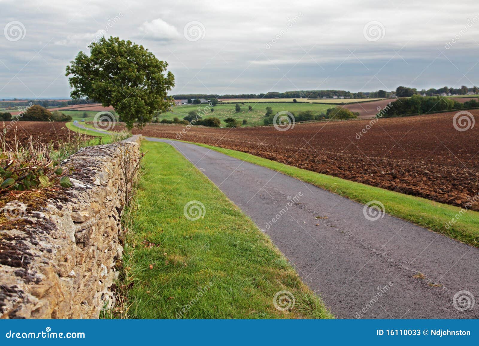 Road Receding through Farmland Stock Image - Image of curving, ploughed ...