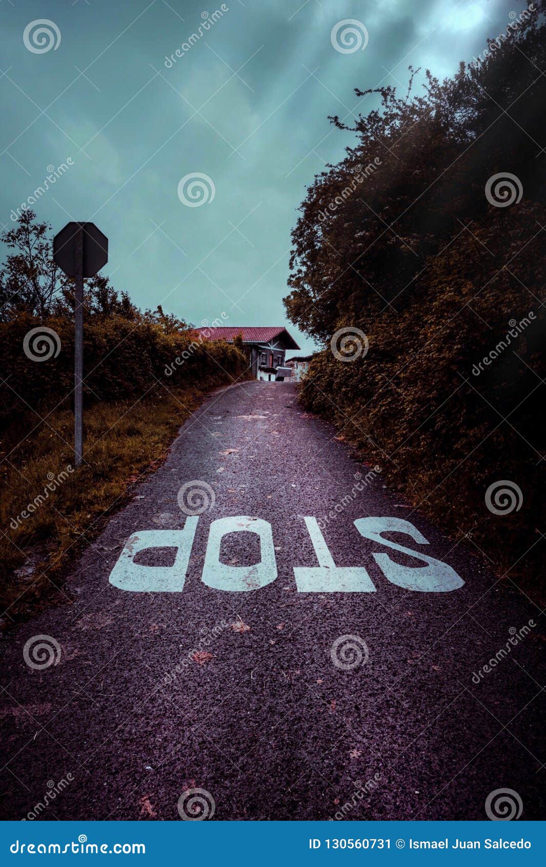Road and Red Trees in the Mountain Stock Image - Image of autumn ...