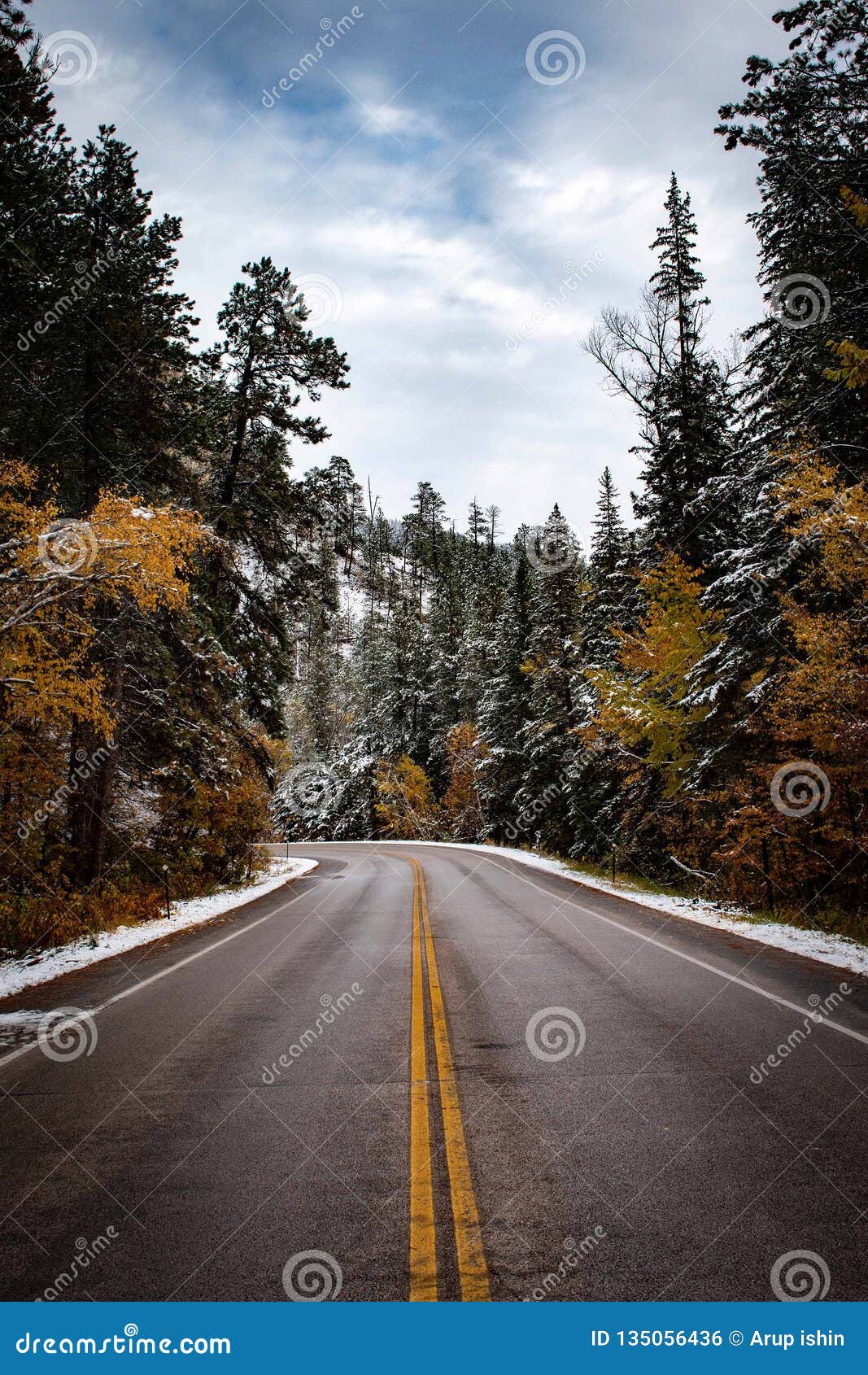Road ride stock photo. Image of ride, forest, road, tree - 135056436