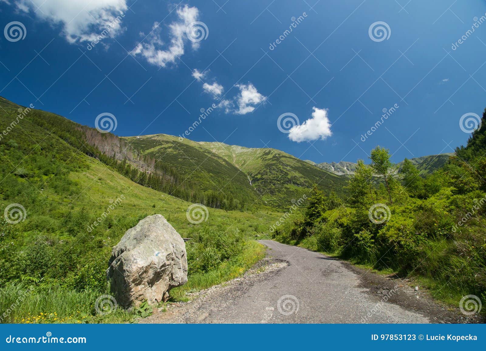 Road with Rock in the Mountains Stock Image - Image of landscape, tree ...