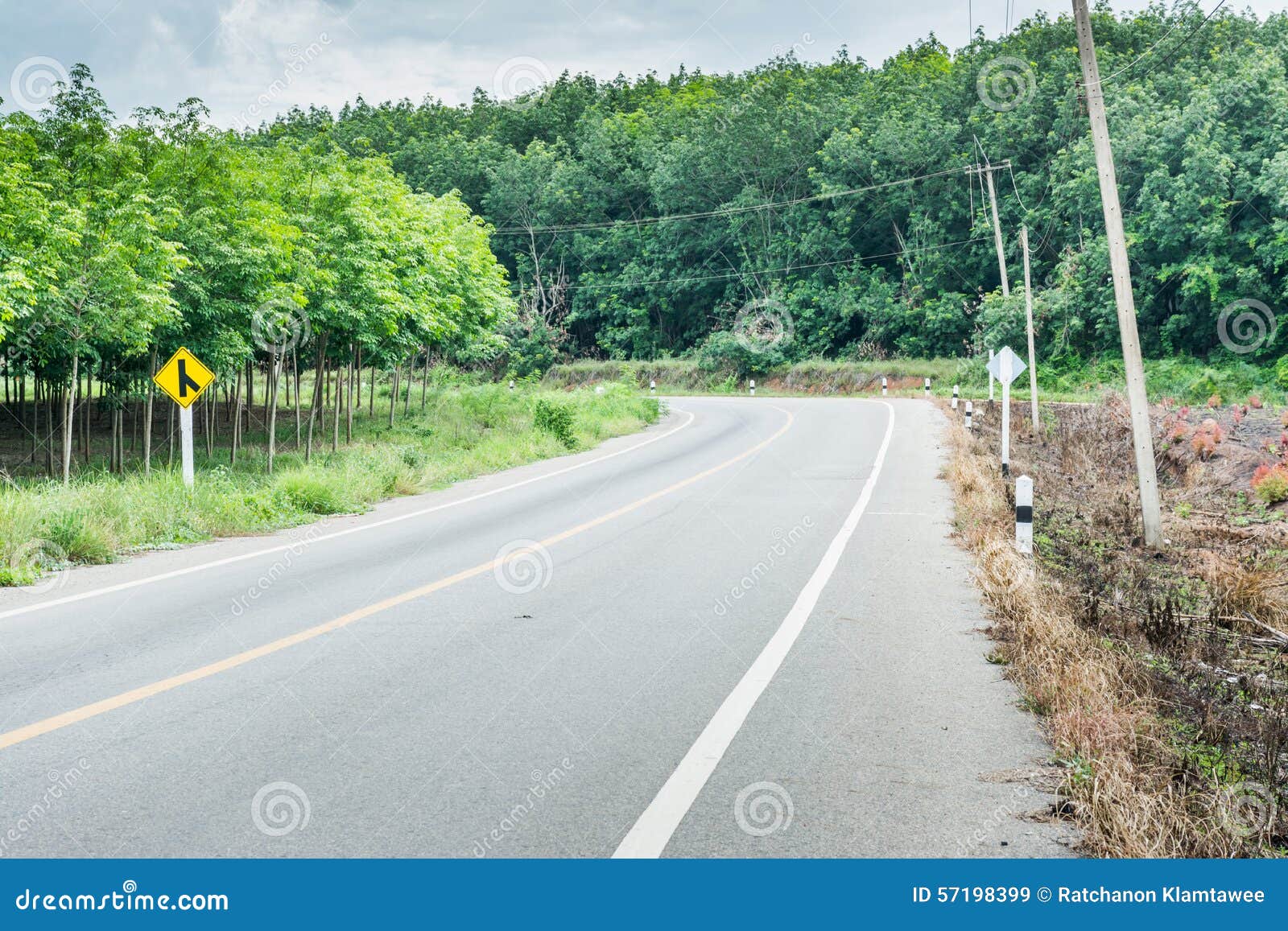 Road and Rubber Plantations Stock Image - Image of road, landscape ...