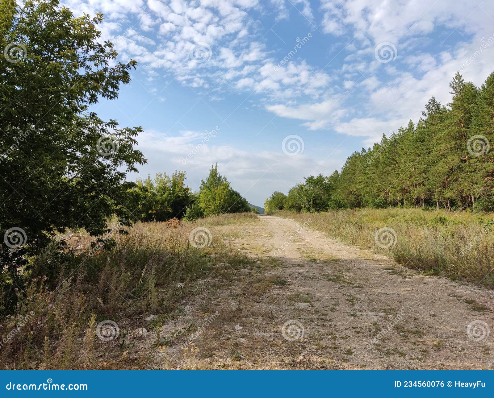 A Road from Rubble Stretching into the Distance between Trees Stock ...