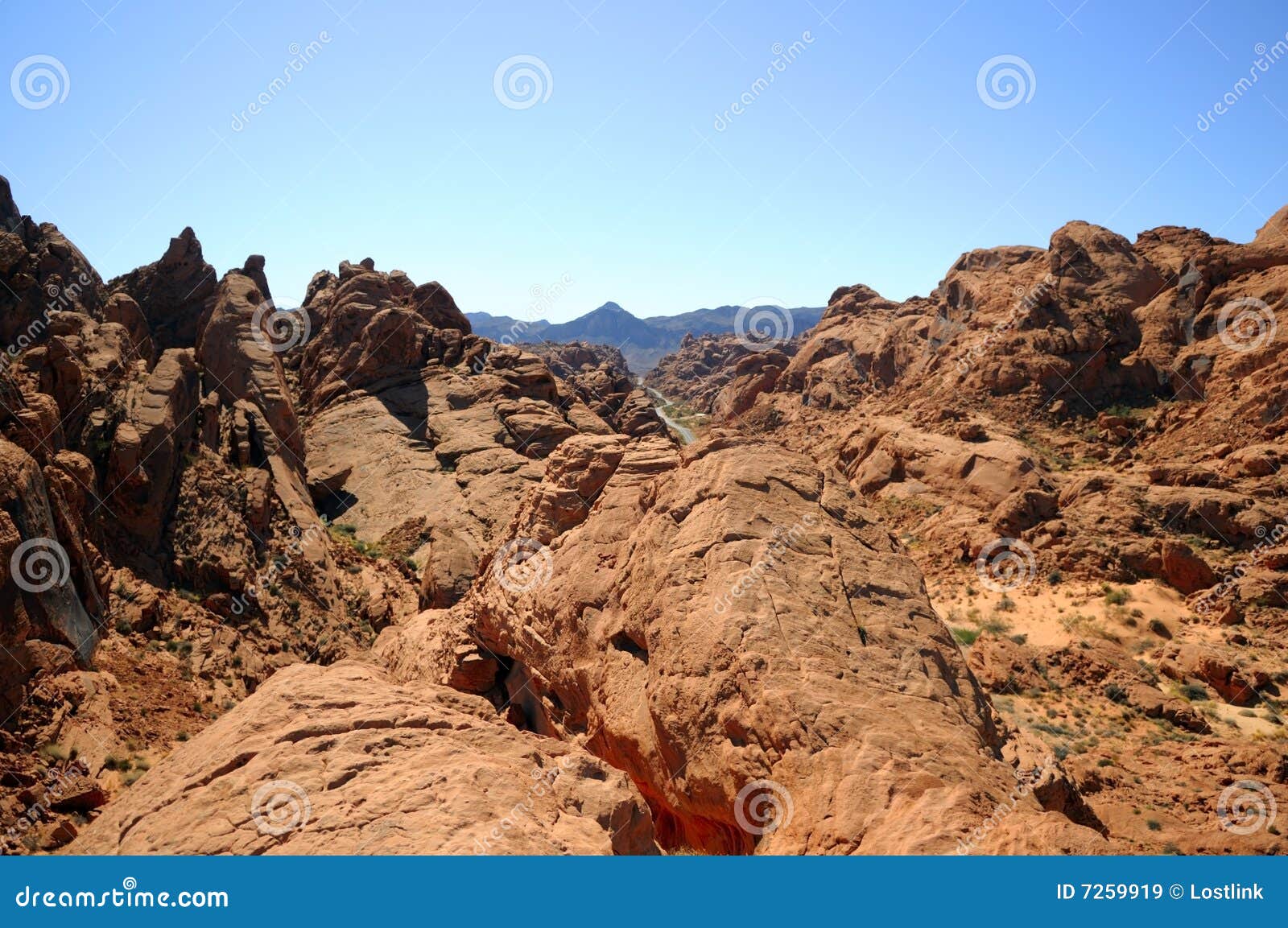 Road Running Away between the Red Rocks Stock Image - Image of ...