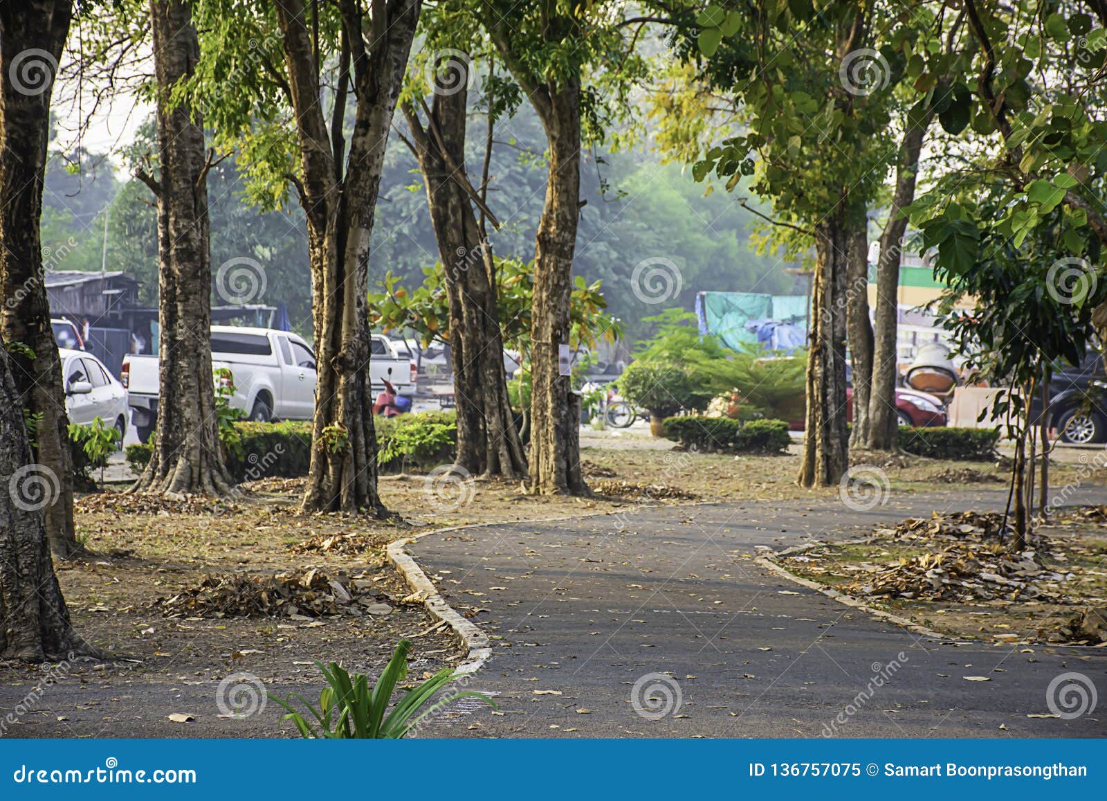 The Road for Running in the Park with Lots of Trees Stock Image - Image ...
