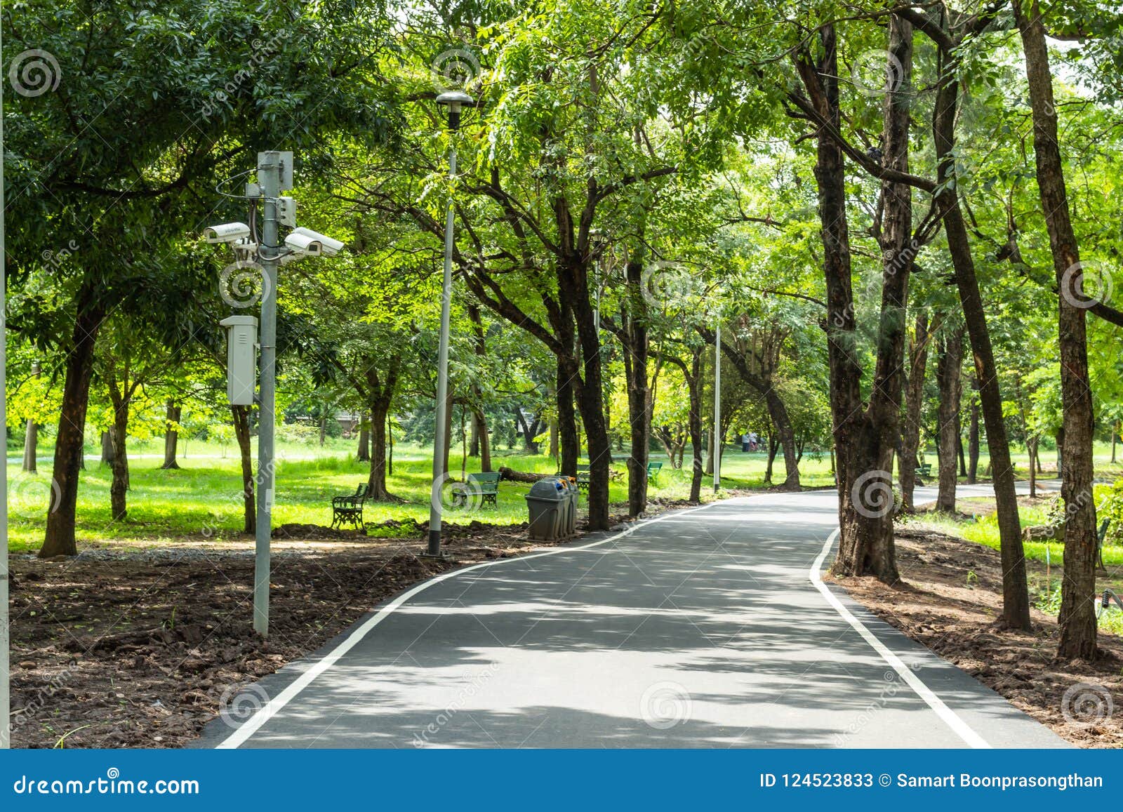 The Road for Running in the Park with Lots of Trees Stock Image - Image ...