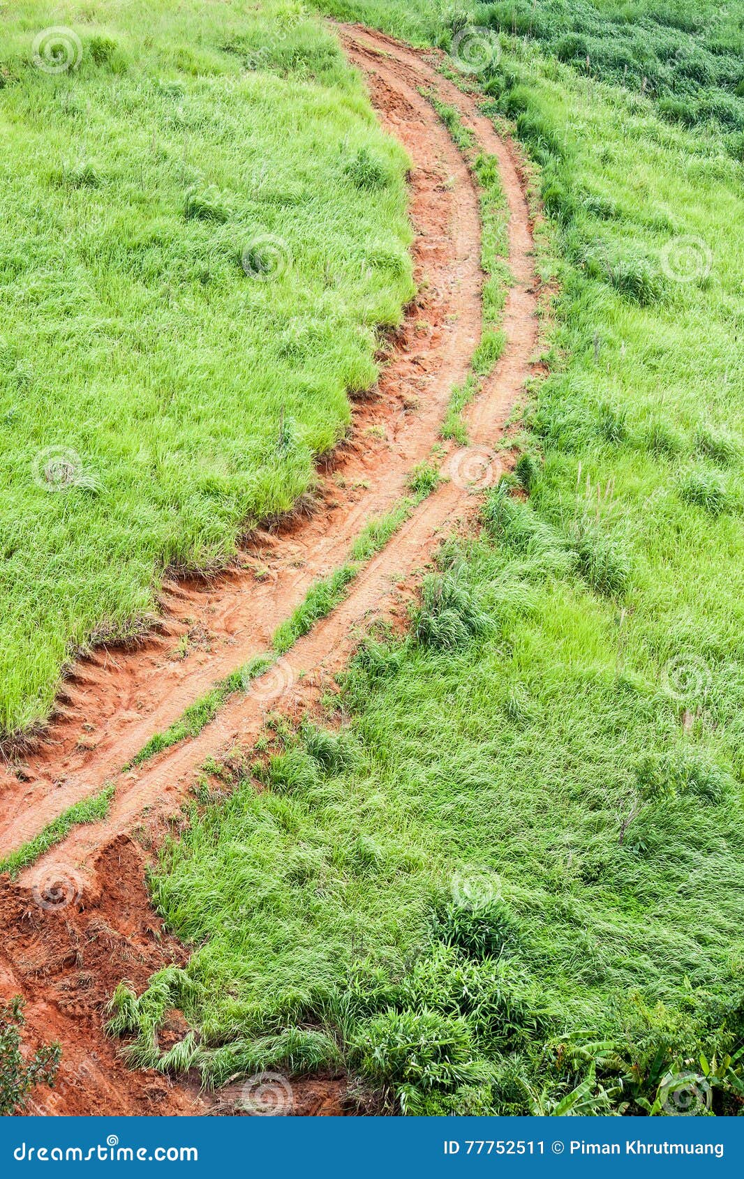 Road in rural areas stock image. Image of road, rural - 77752511
