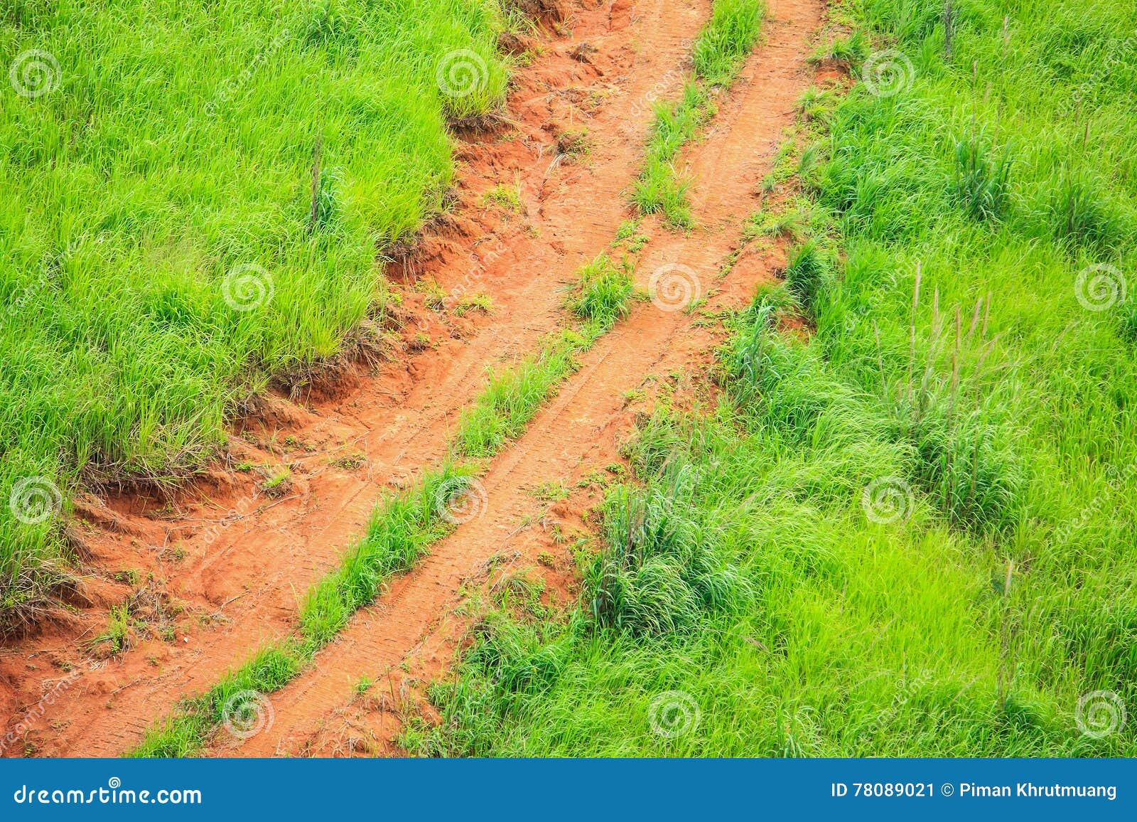 Road in rural areas stock image. Image of landscape, country - 78089021