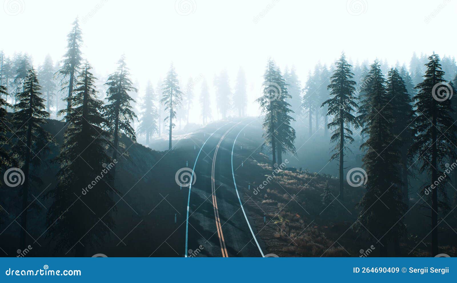 Road through the Russian Taiga Forest from Aerial View Stock ...