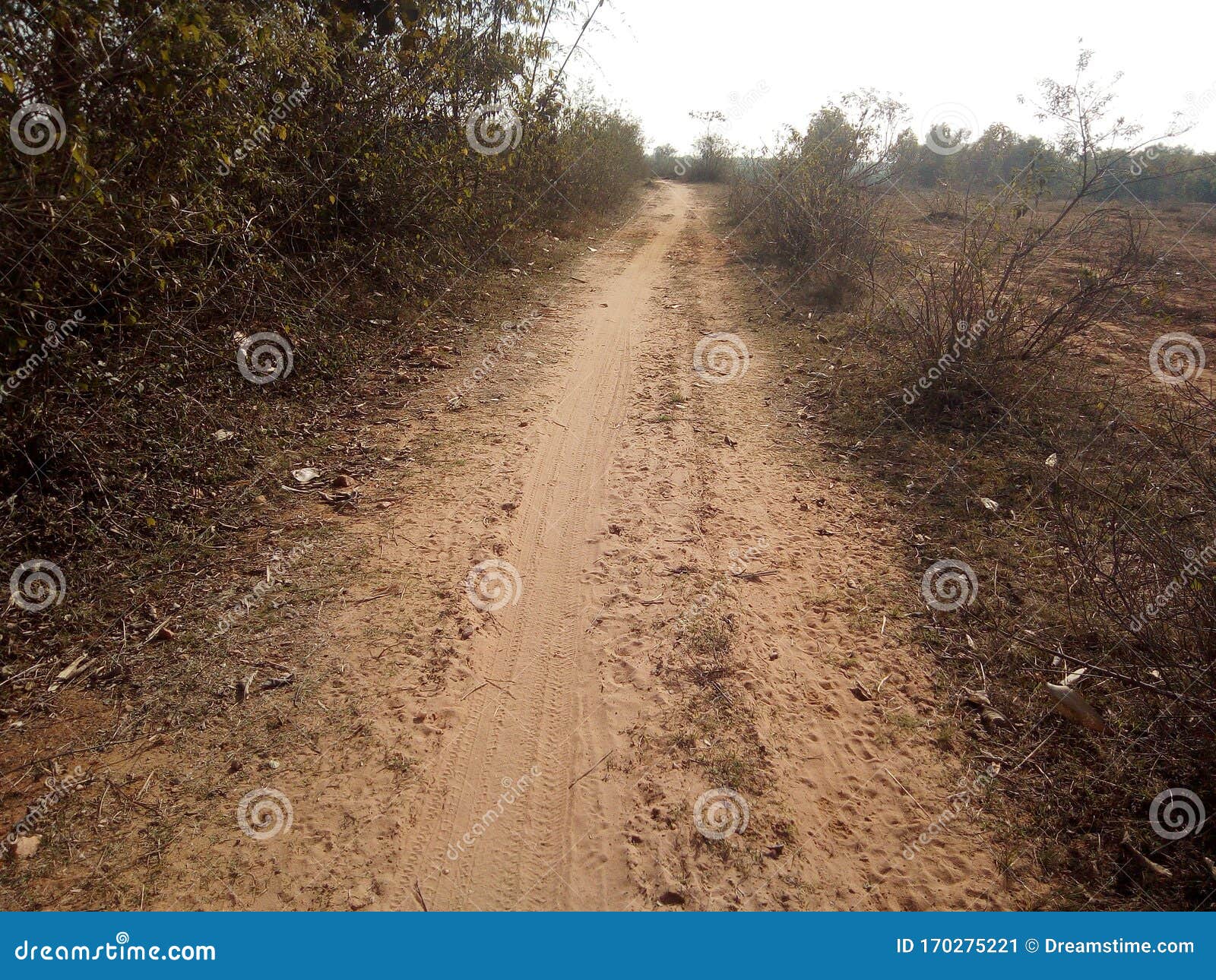 Road Sadak Forest Khubsurat Beautiful Stock Image - Image of beautiful ...