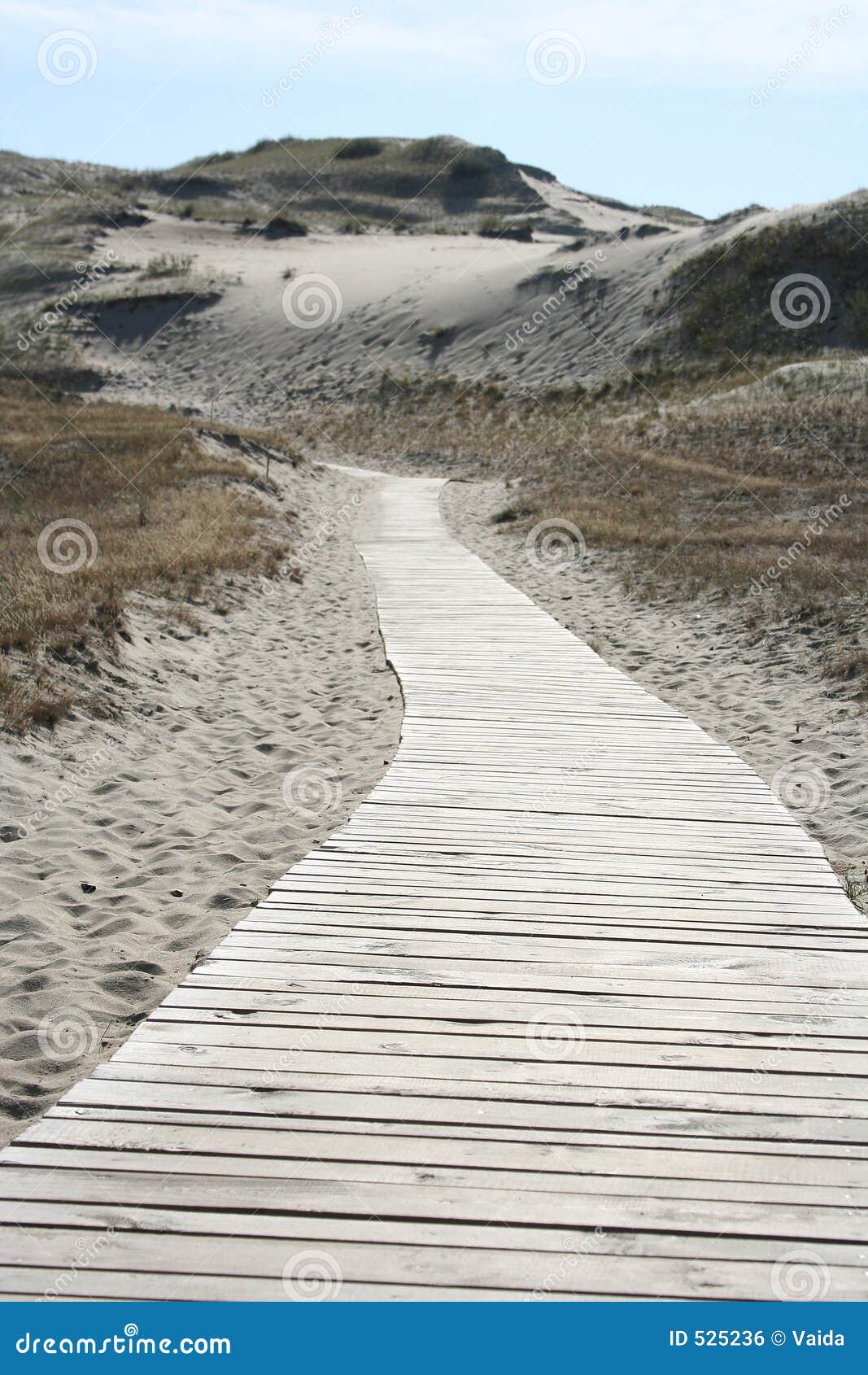 Road into the Sand stock photo. Image of plank, summertime - 525236