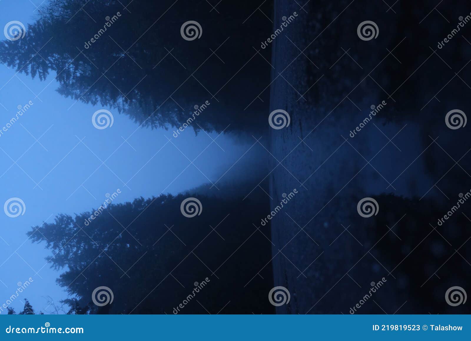 Road in a Scary Dark Forest Stock Image - Image of mist, darkness ...