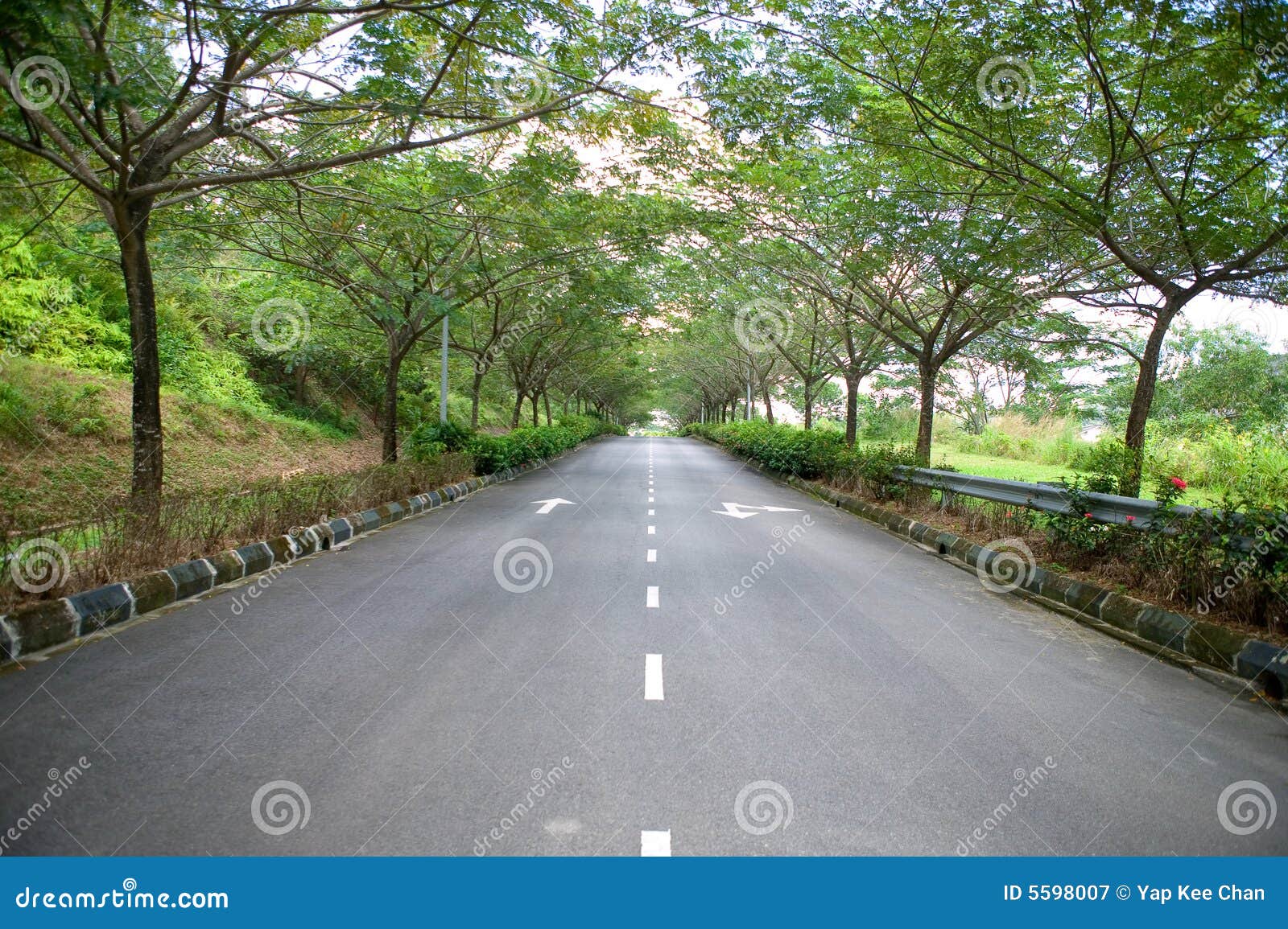 Road scenery stock image. Image of highway, greenery, destination - 5598007