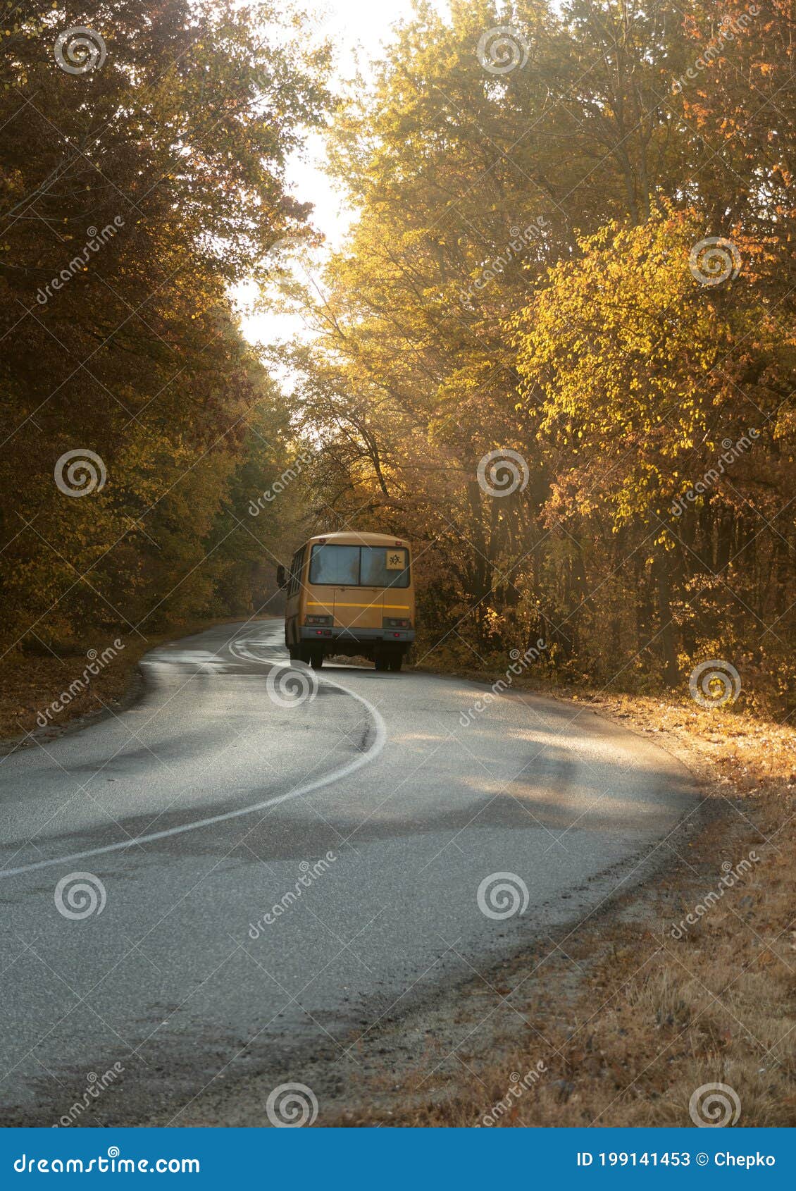 Road with School Bus in Beautiful Autumn Forest at Sunset Stock Image ...