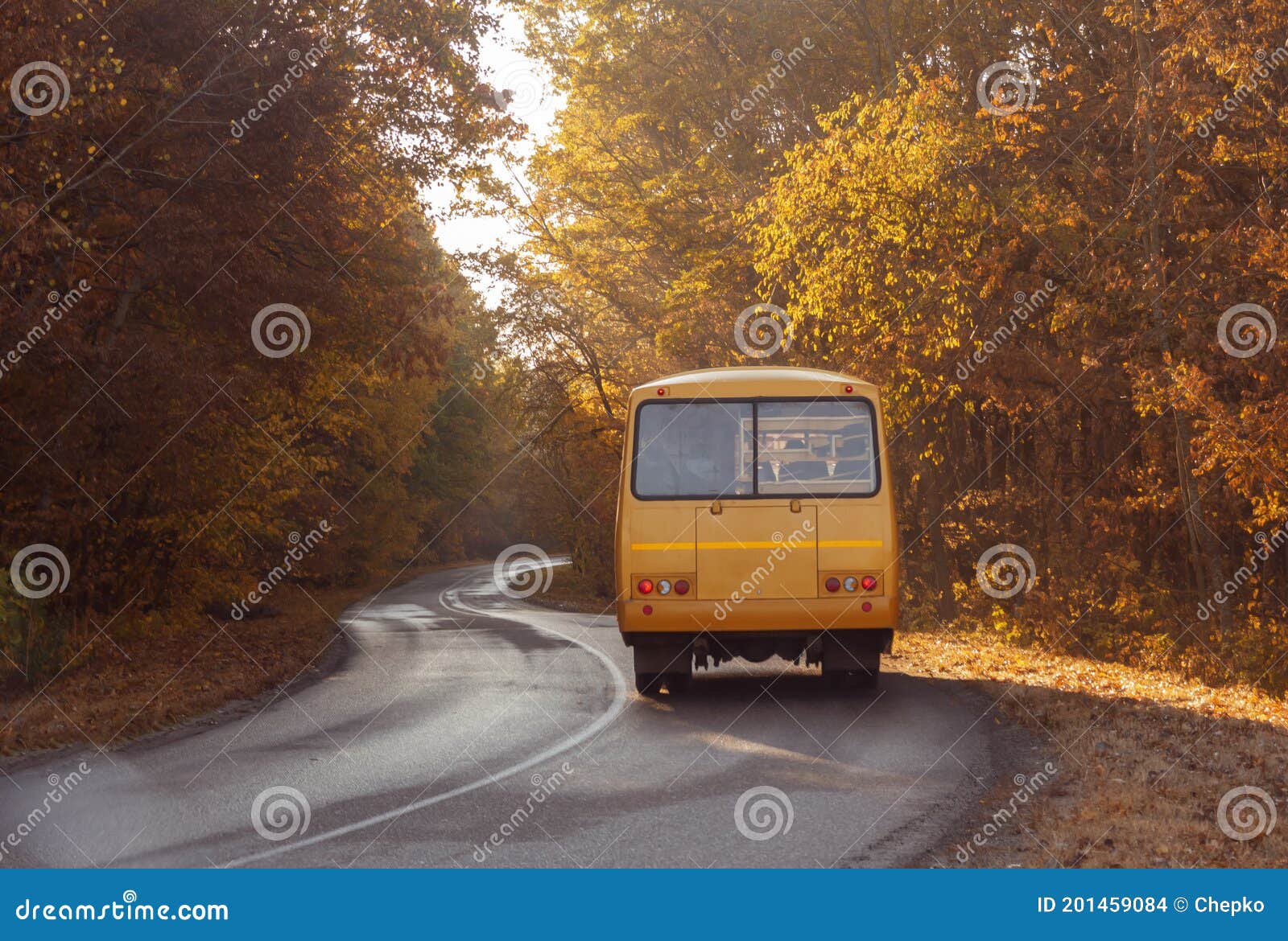 Road with School Bus in Beautiful Autumn Forest at Sunset Stock Photo ...