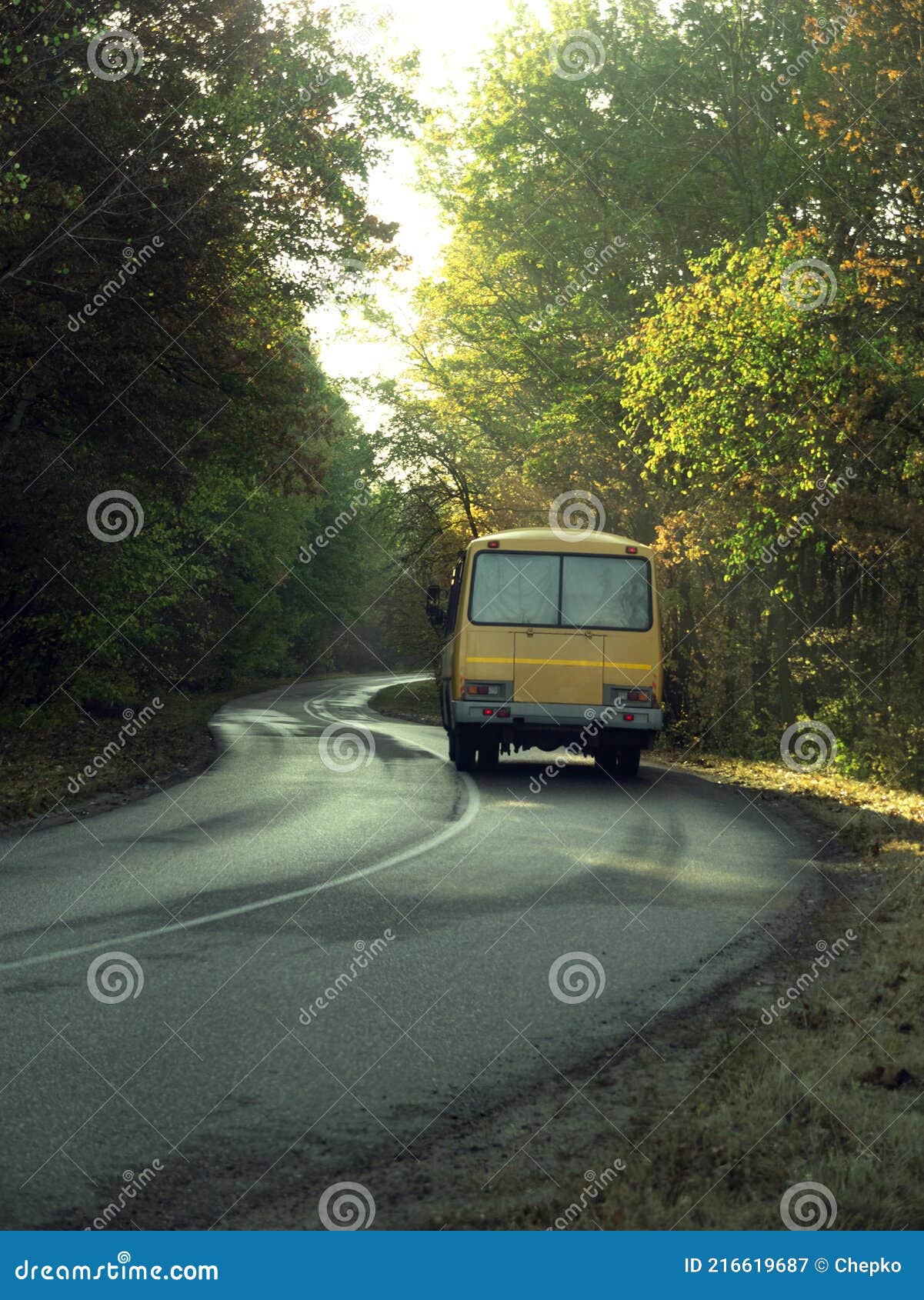 Road with School Bus in Beautiful Summer Forest Stock Image - Image of ...