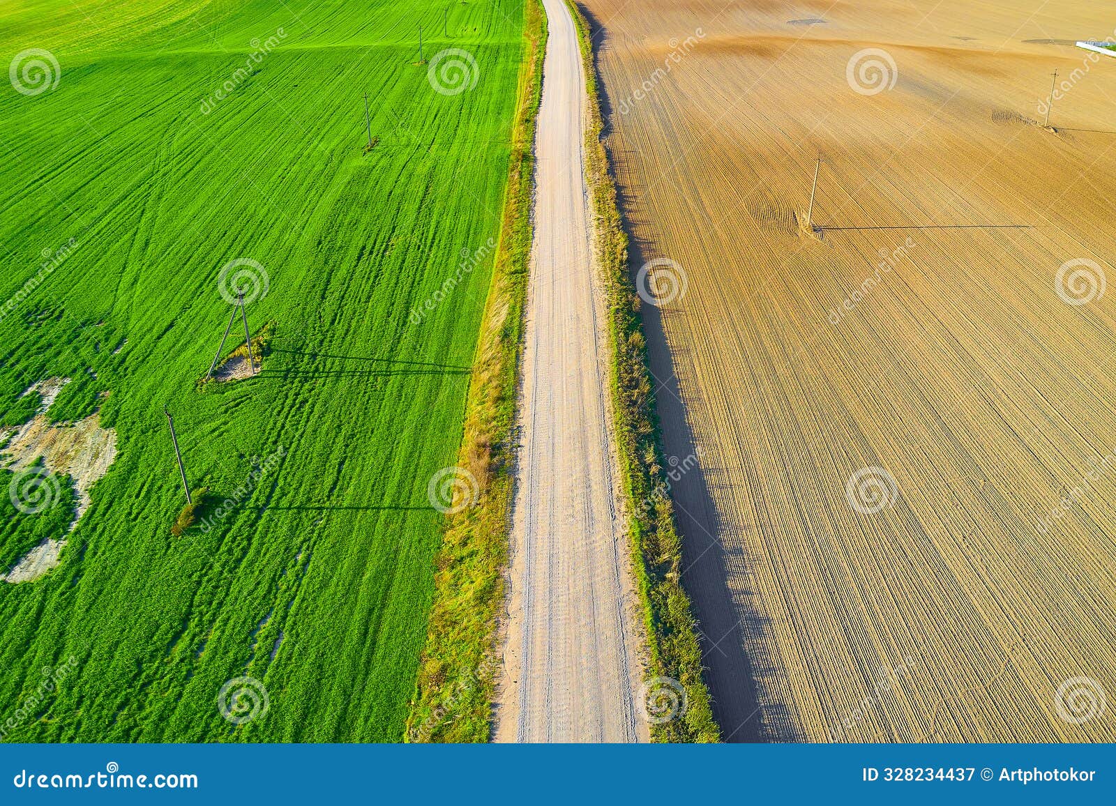 The Road Separates Two Beautiful Saturated Fields. Agricultural ...