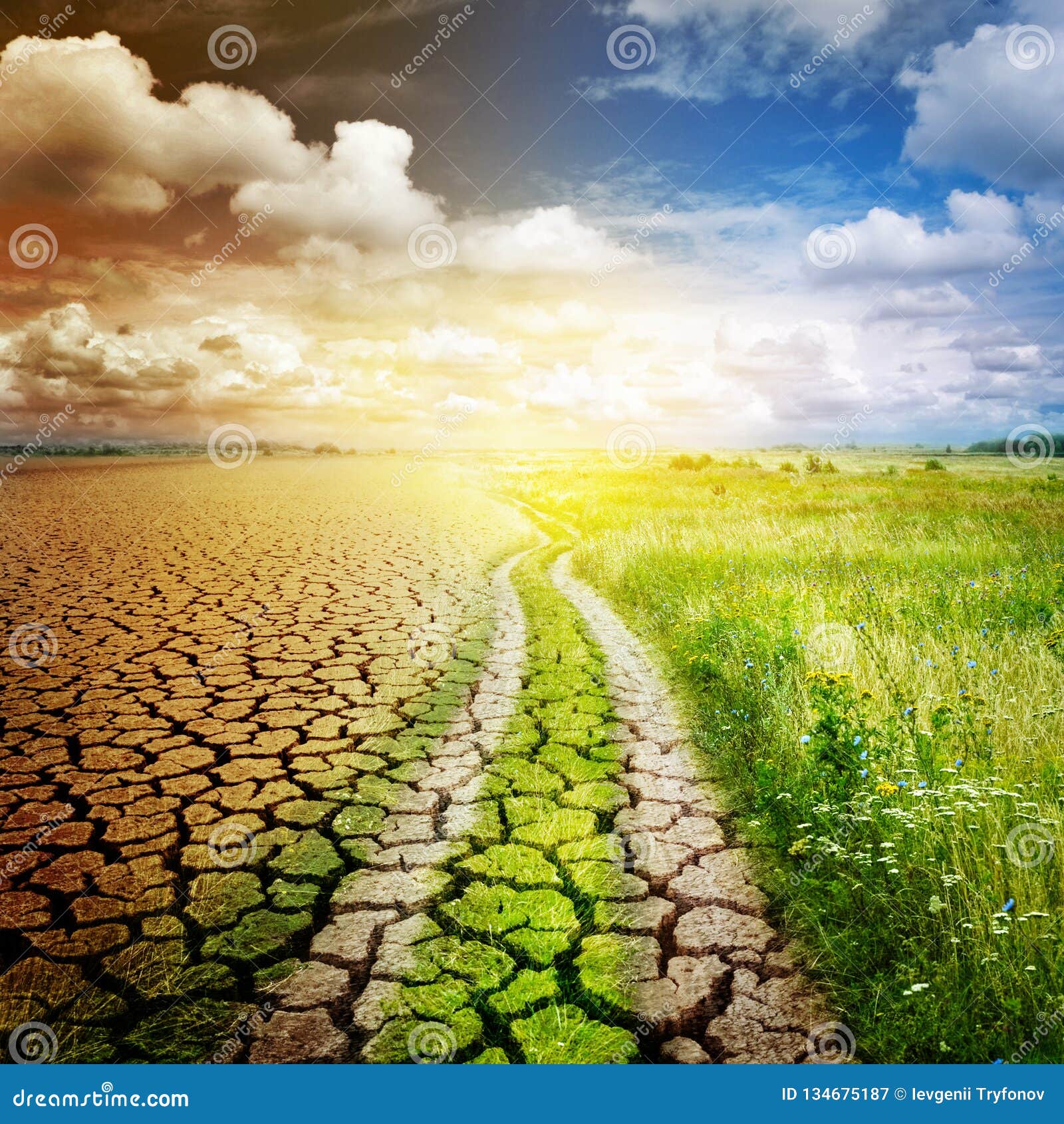 6,439 Oasis Road Stock Photos - Free & Royalty-Free Stock Photos from ...