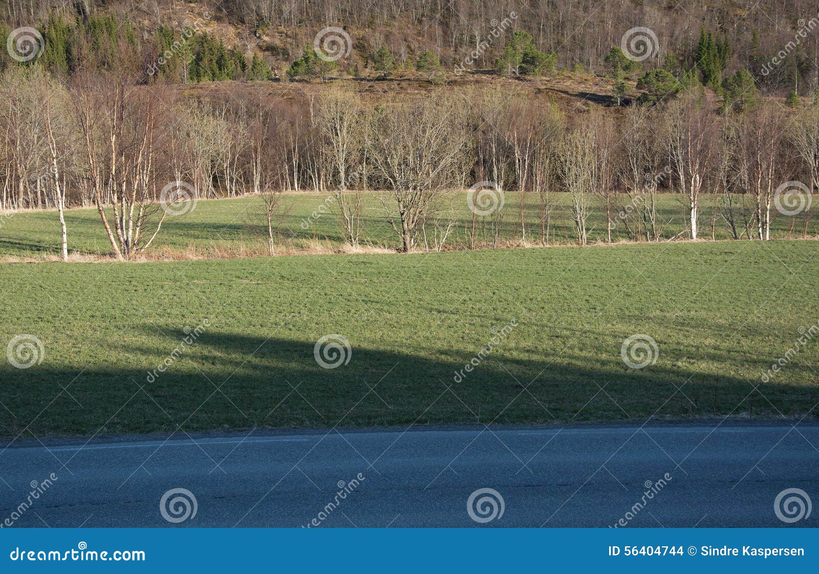 Road and shade stock photo. Image of abstract, outdoors - 56404744