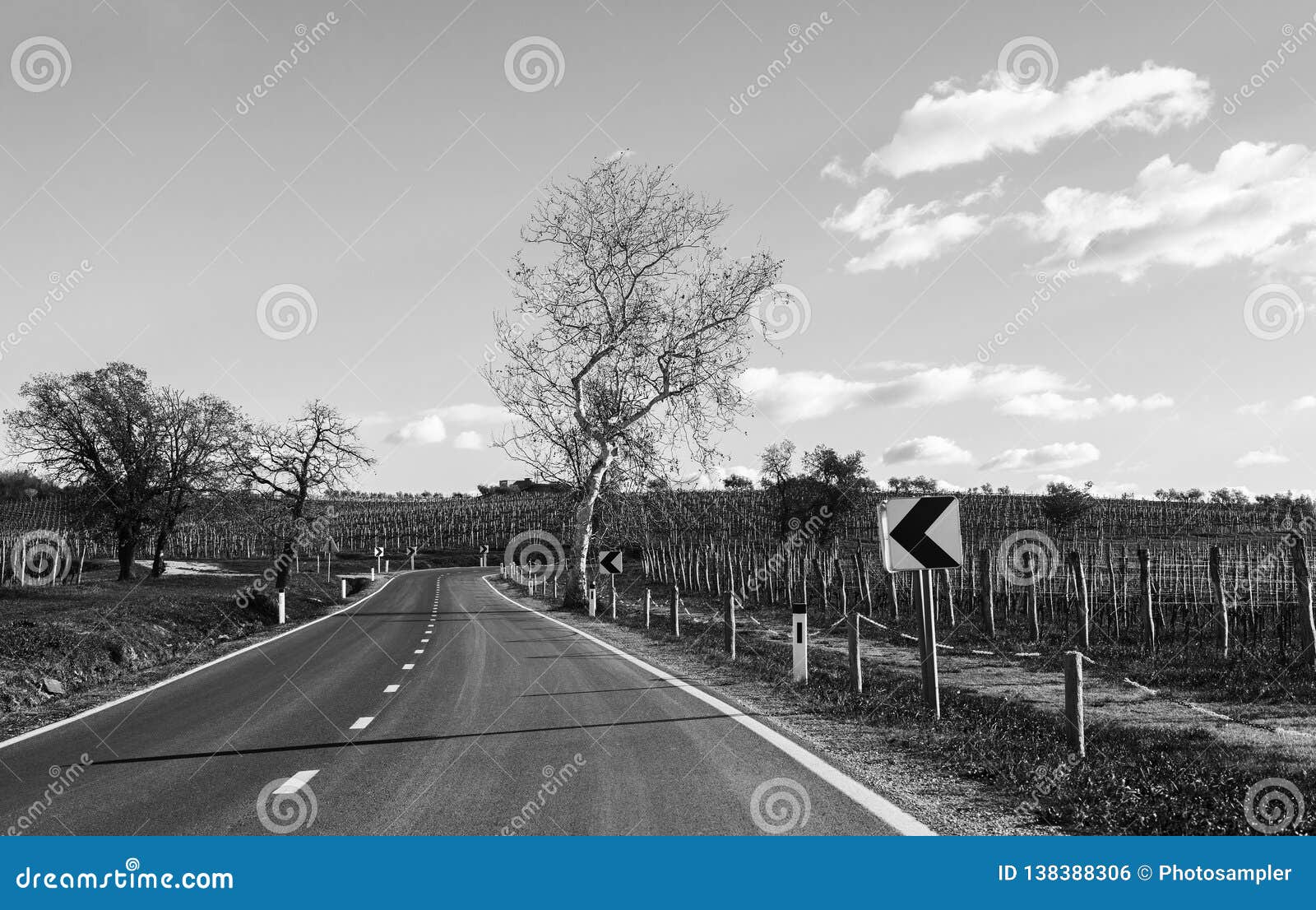 Road with a Sharp Corner Ahead Stock Photo - Image of sign, rural ...