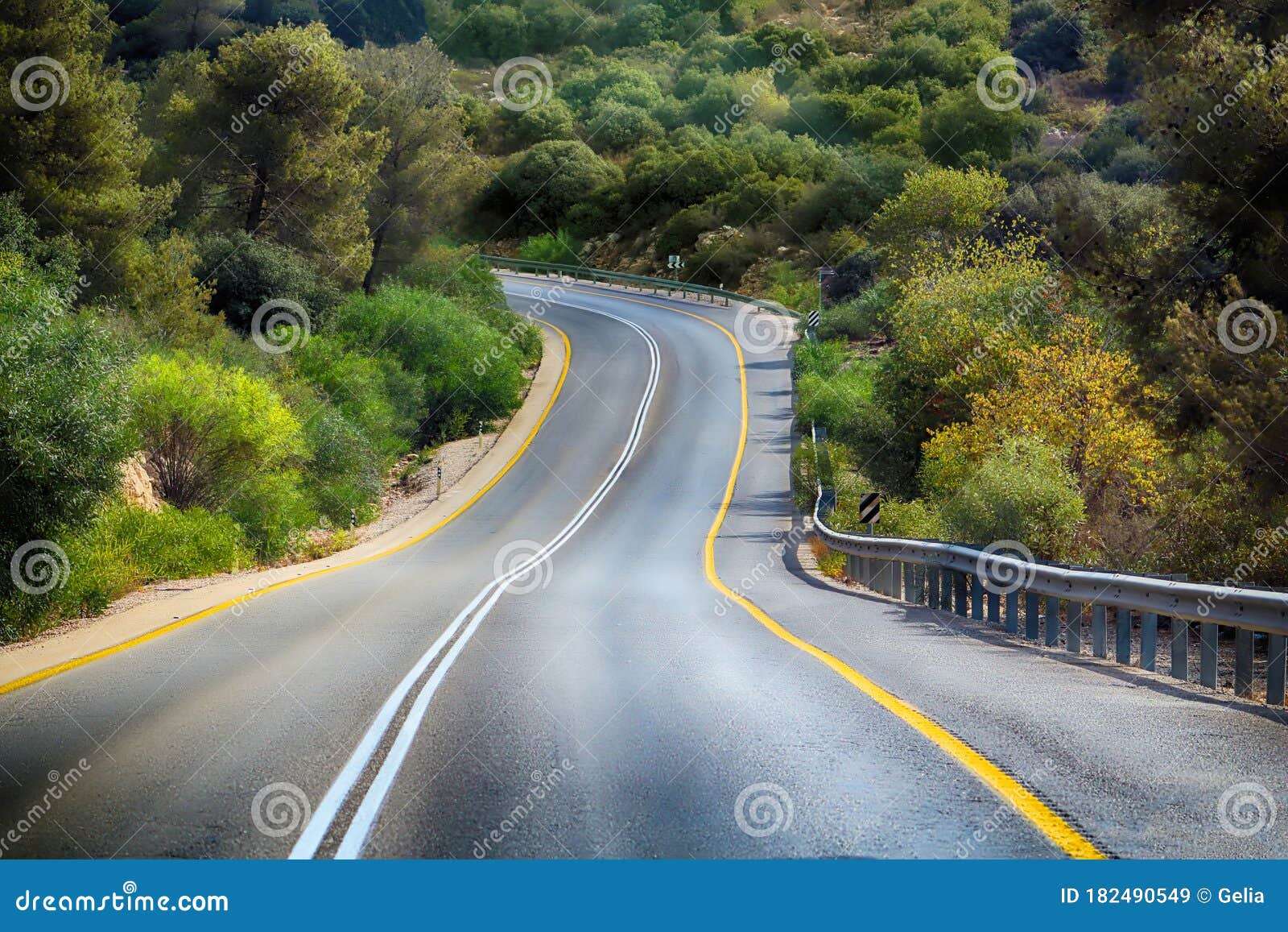 Road in Shrub Area with Trees. Turn Stock Image - Image of beautiful ...