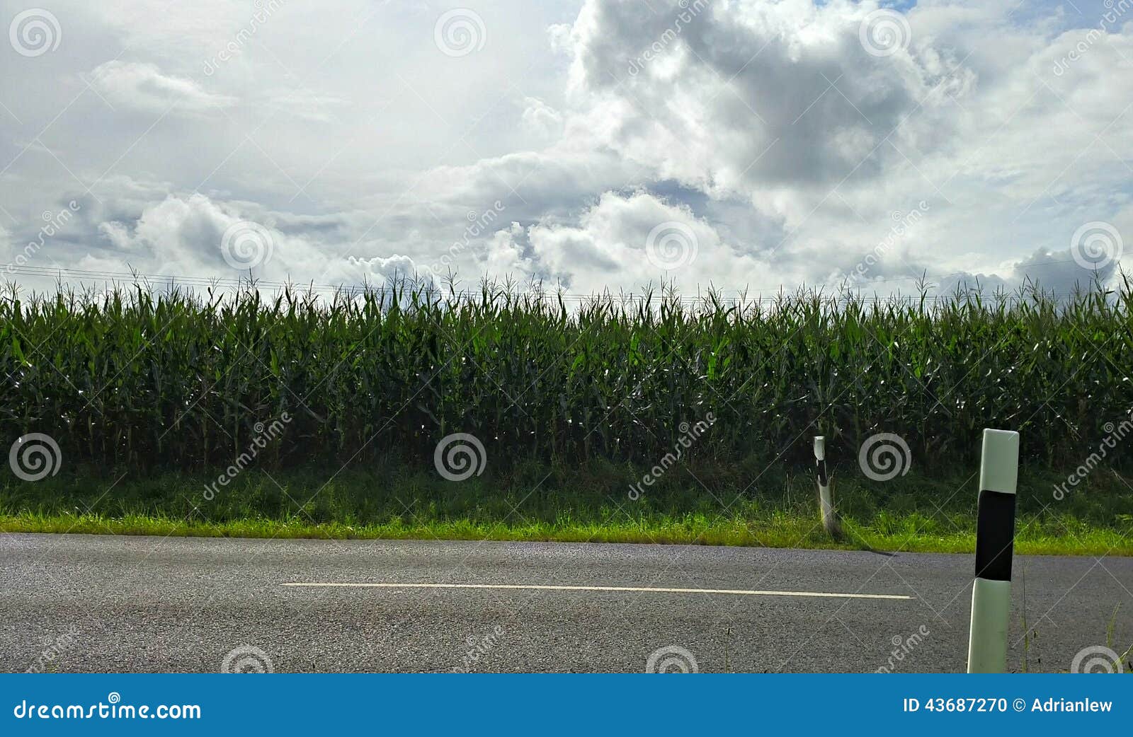 Road Side stock photo. Image of side, field, background - 43687270