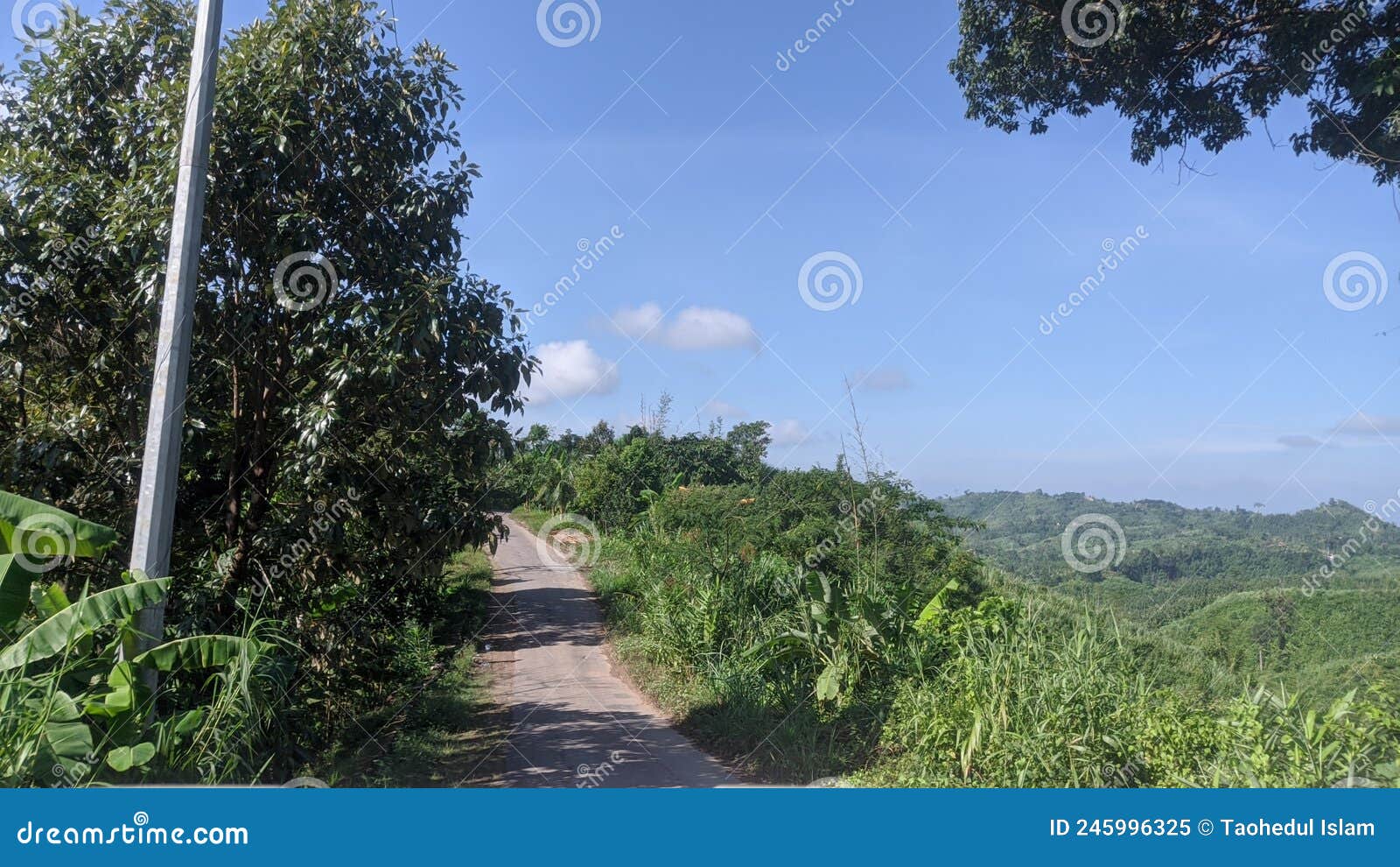 Road side hil stock image. Image of forest, mountain - 245996325