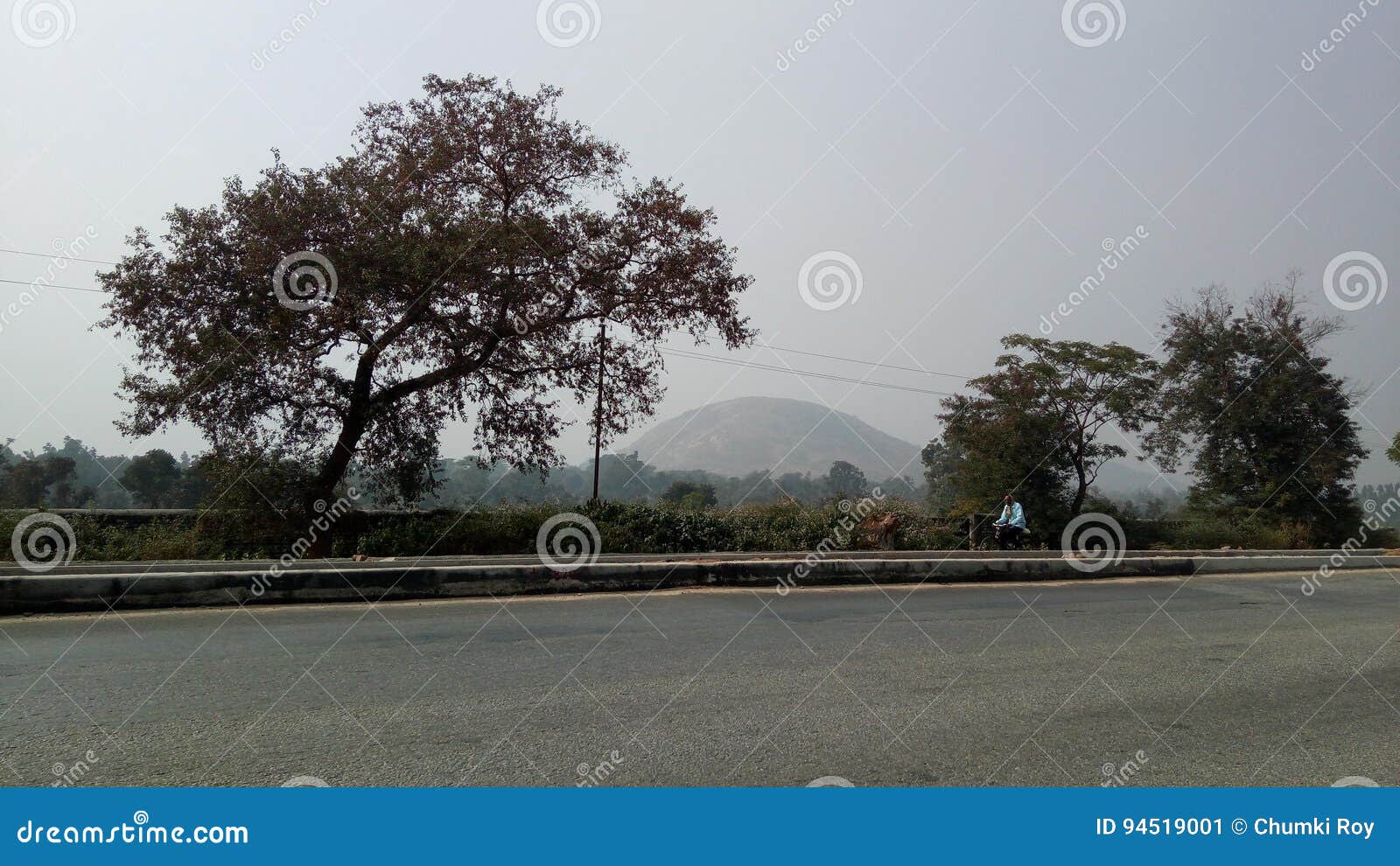 Road side stock image. Image of nature, side, road, captured - 94519001