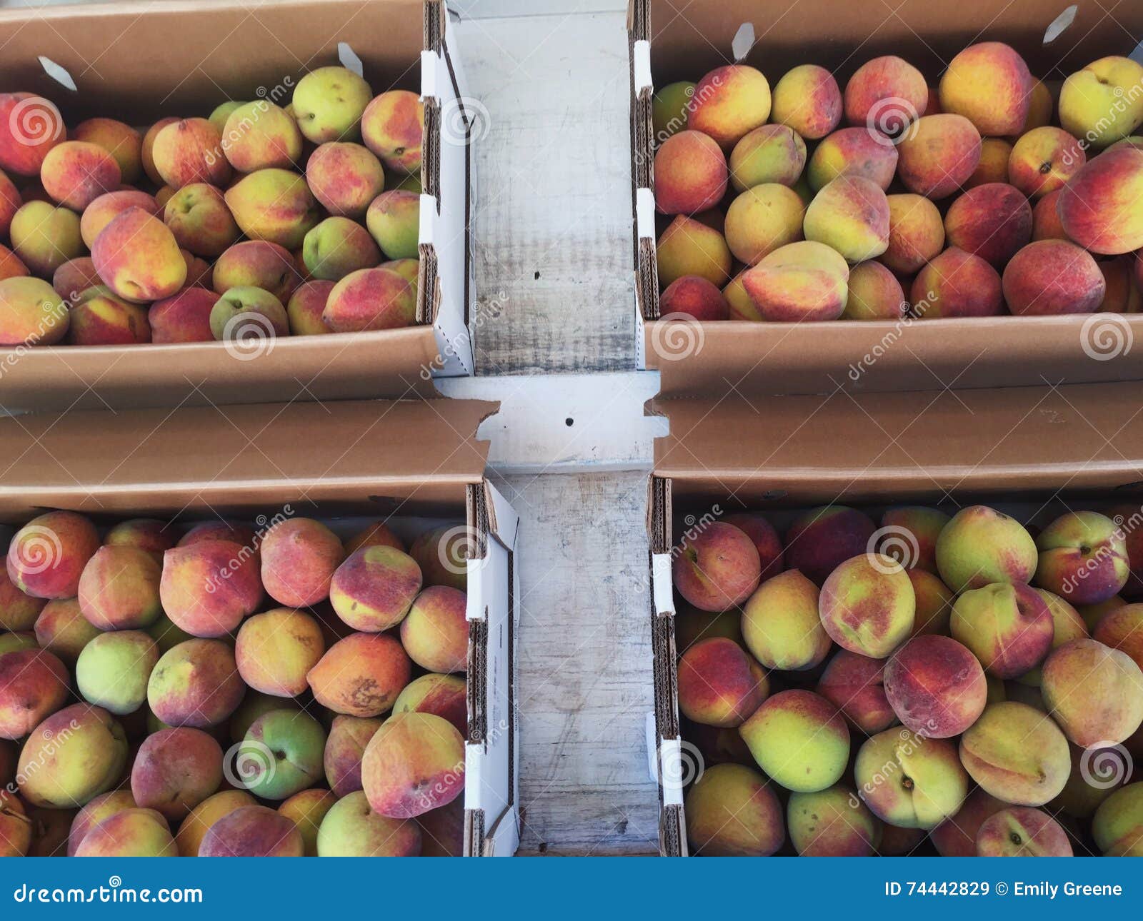 Road side peaches stock image. Image of road, side, stand - 74442829