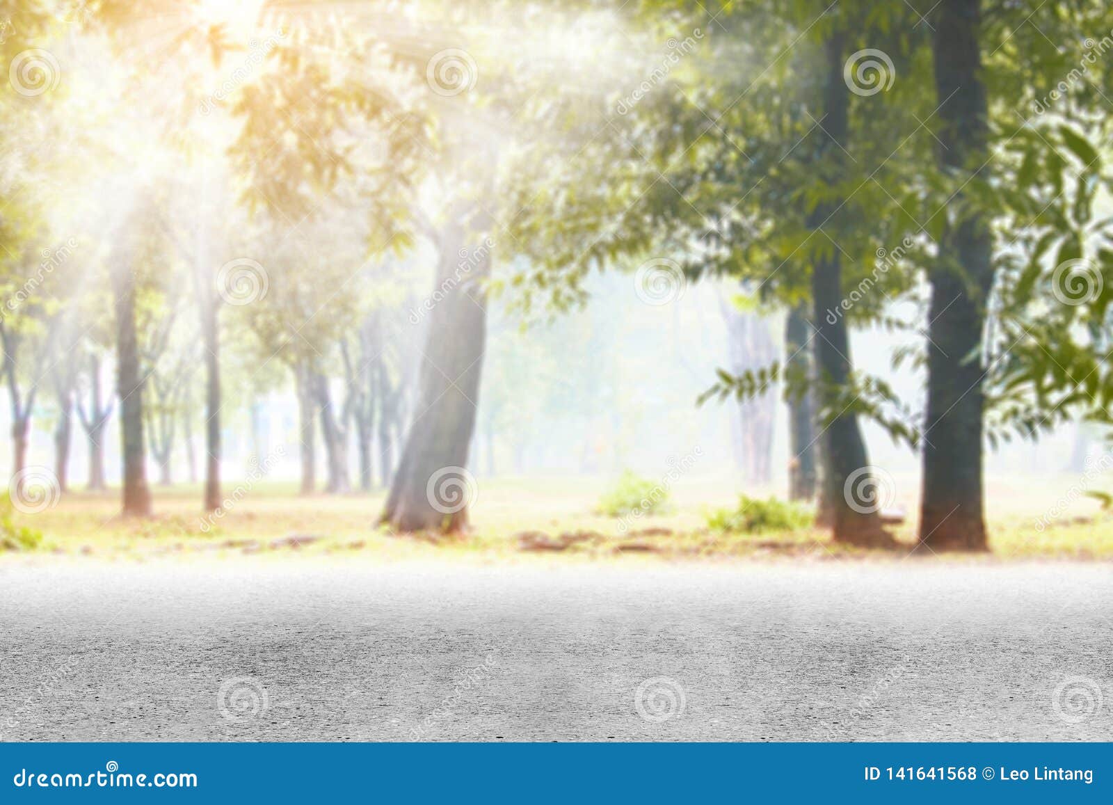 Road Side with Trees and Park View Stock Photo - Image of parkland ...