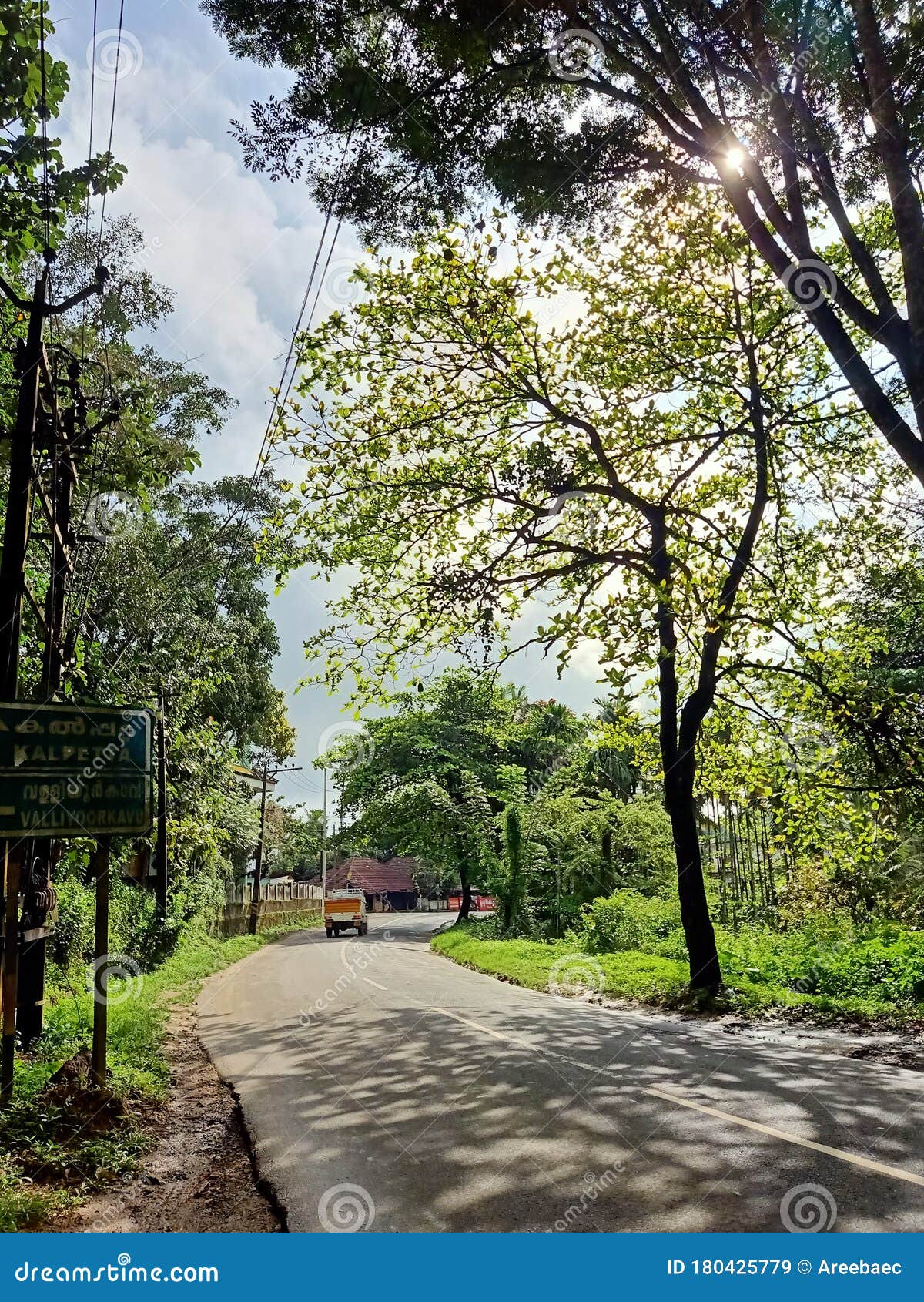 Road Side Trees and the Shade Editorial Stock Image - Image of side ...