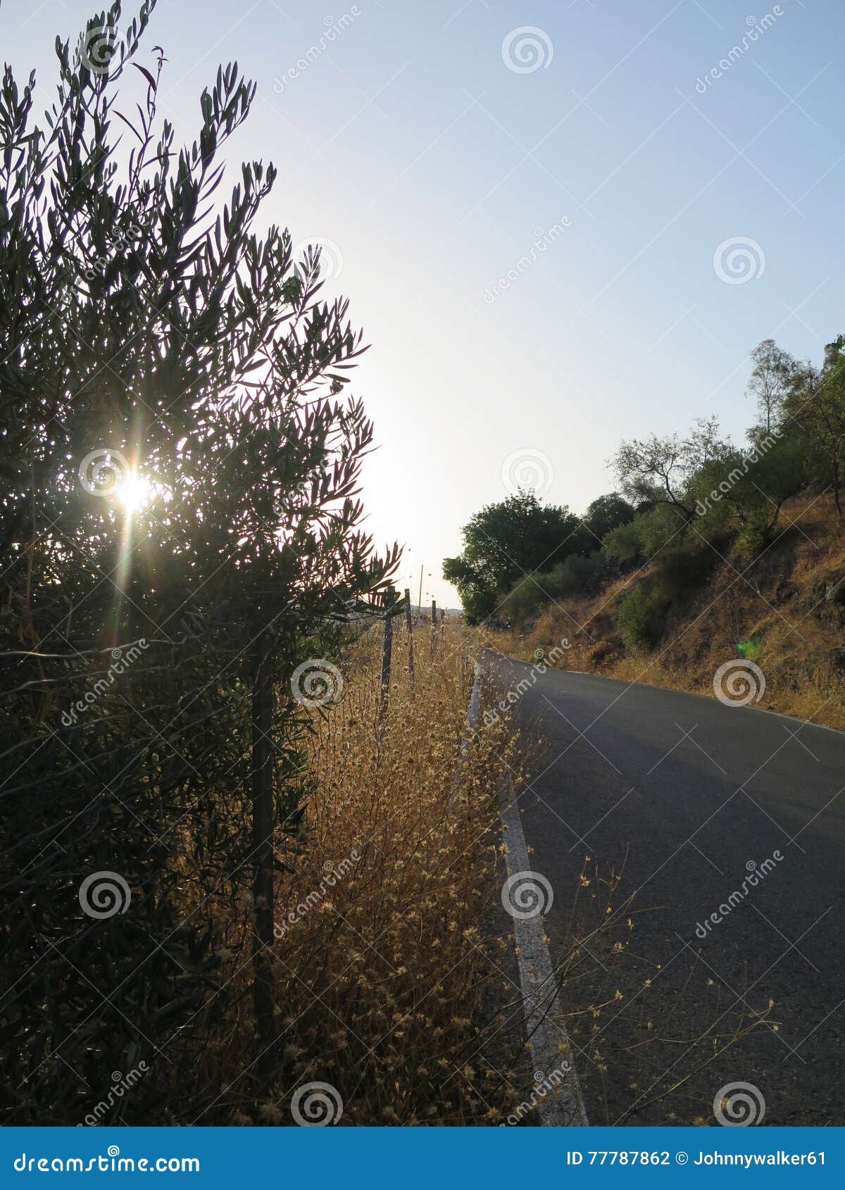Road side verge stock photo. Image of sunlight, barrier - 77787862