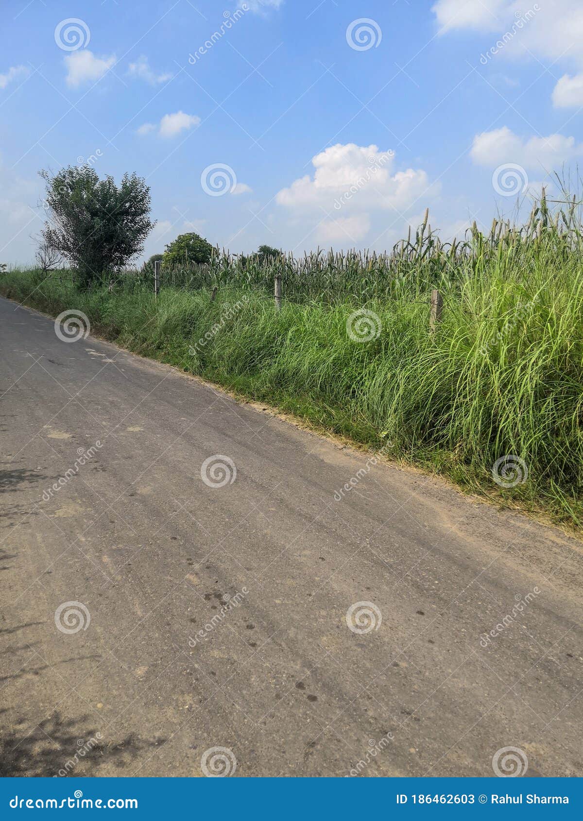 Road Side View of a Field, Village Area Stock Image - Image of area ...