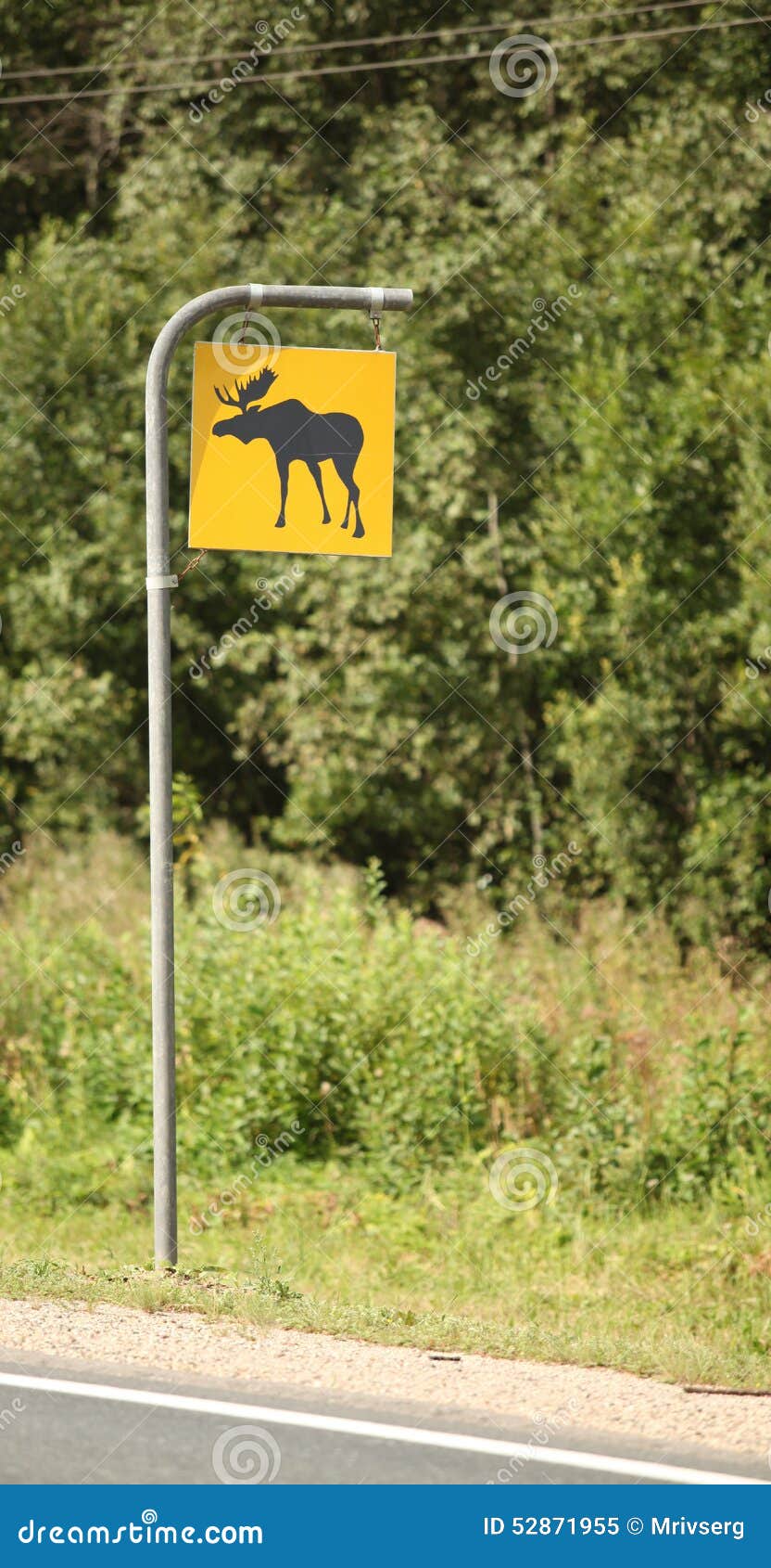 Road sign attention elk stock image. Image of warning - 52871955