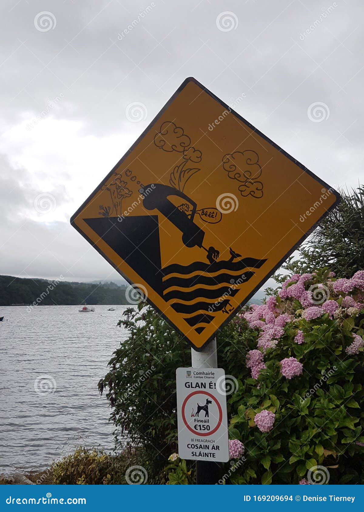 Road Sign Beware Driving into River Stock Photo - Image of sign, beware ...