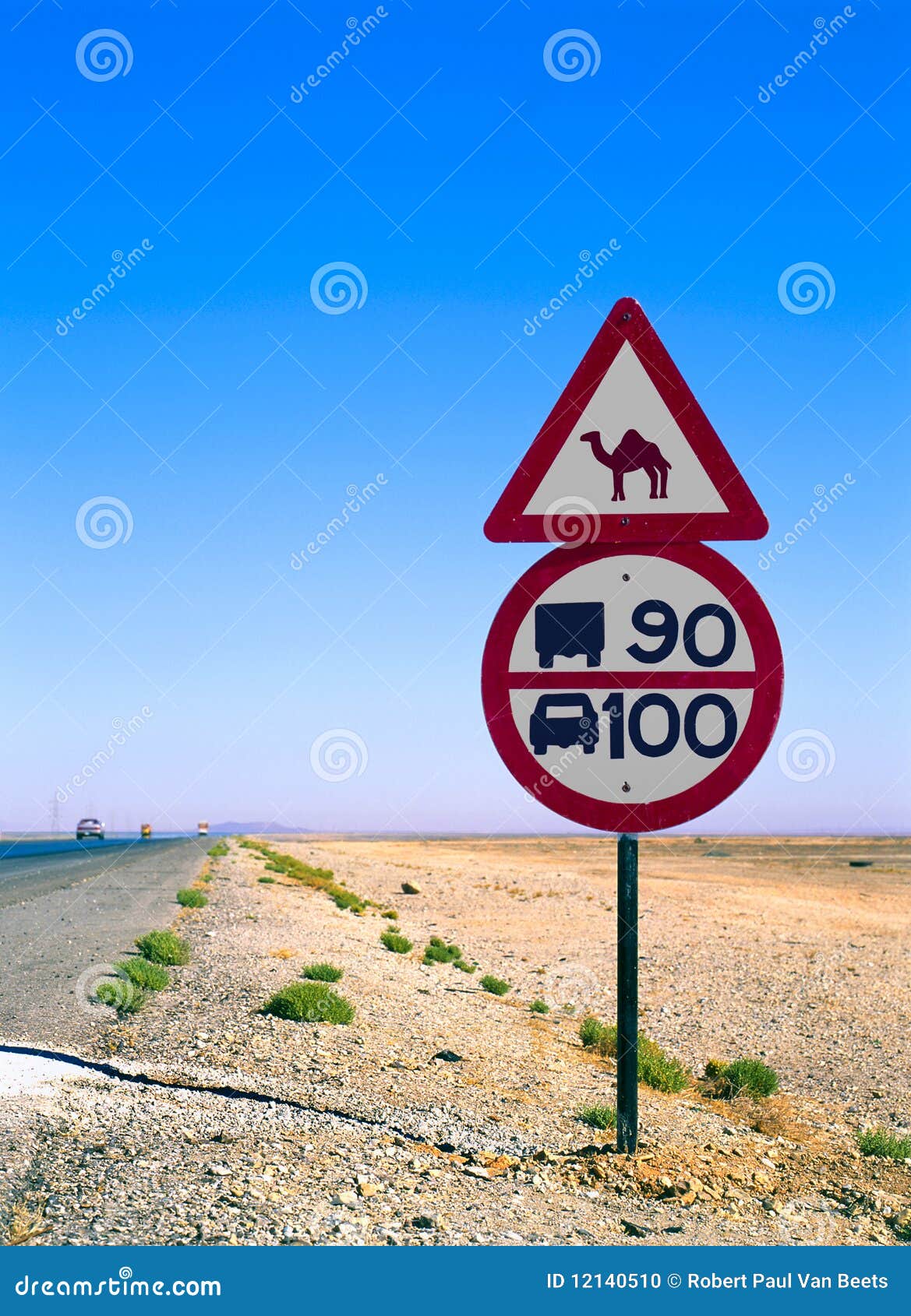 Road sign with camel stock photo. Image of road, sign - 12140510