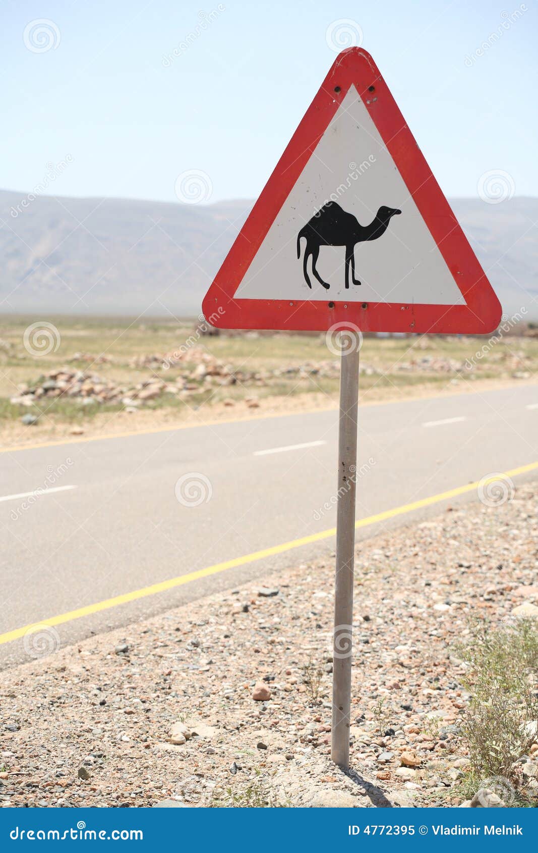 Road sign with camel stock image. Image of adventure, africa - 4772395