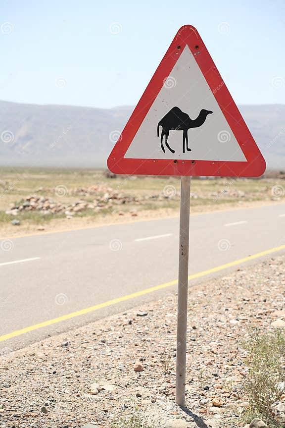 Road sign with camel stock image. Image of adventure, africa - 4772395