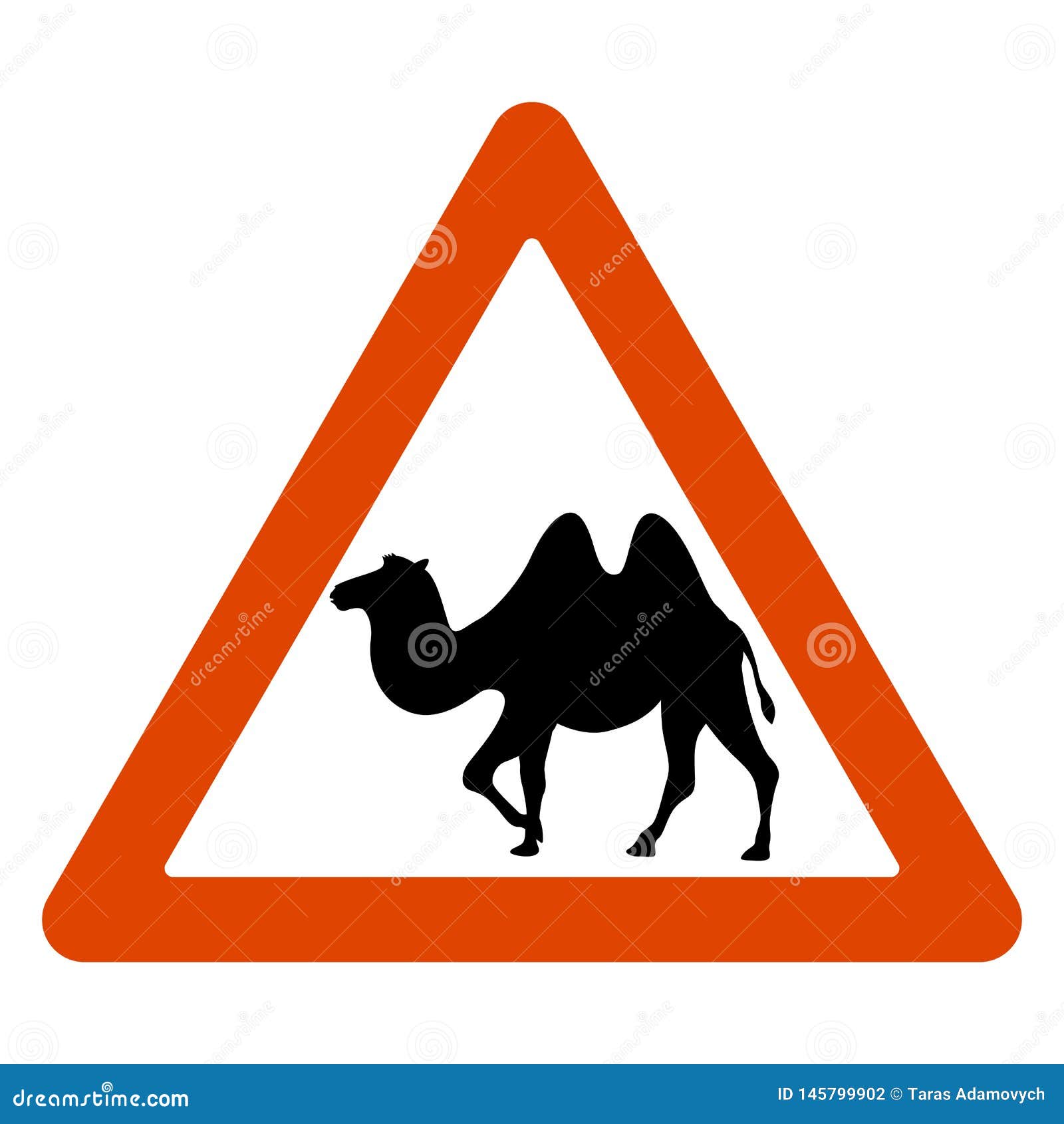 Road Sign, Camel Crossing the Road, Vector Stock Vector - Illustration ...