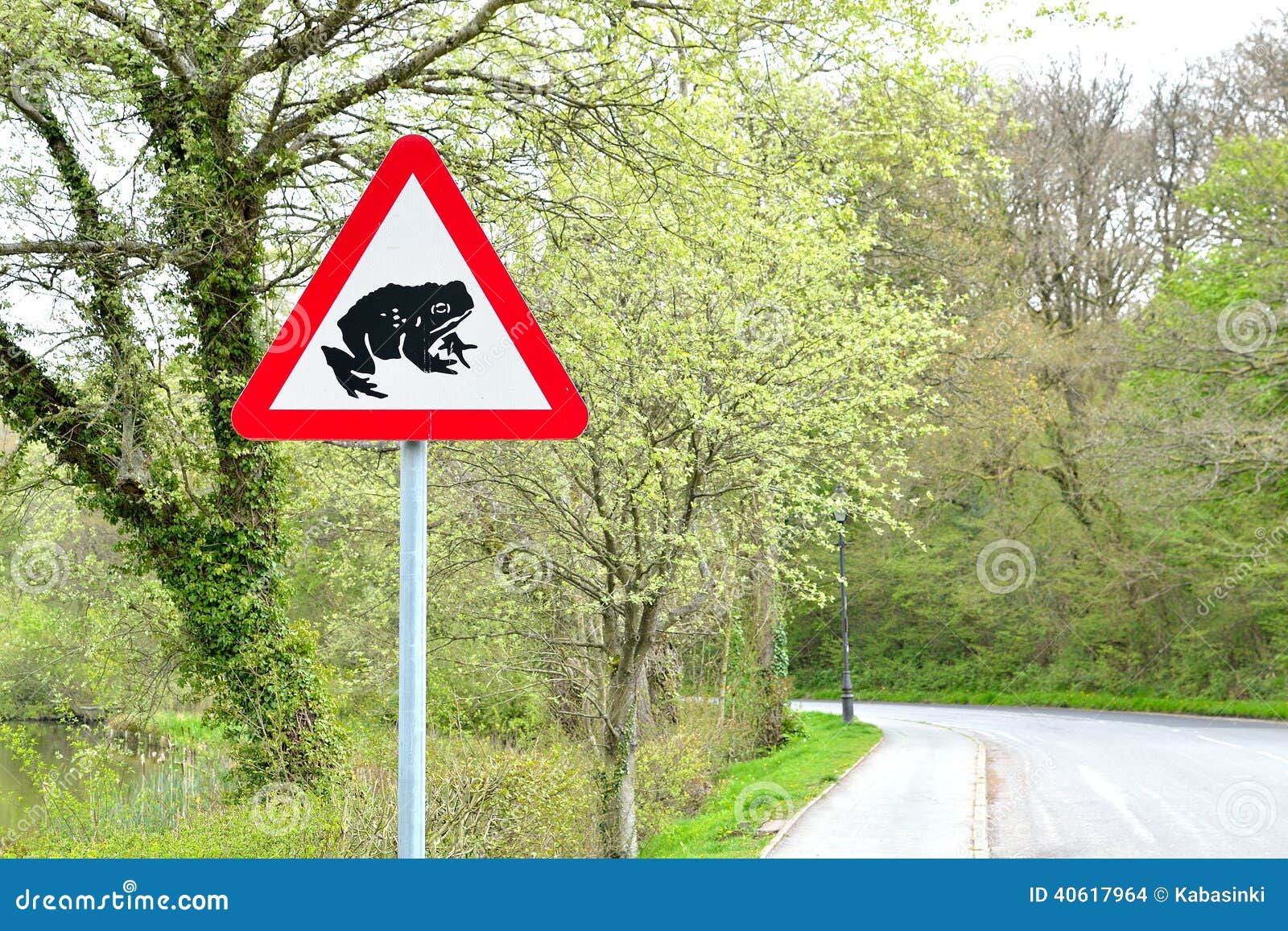 Road Sign - Caution Frogs on the Road 1 Stock Photo - Image of road ...