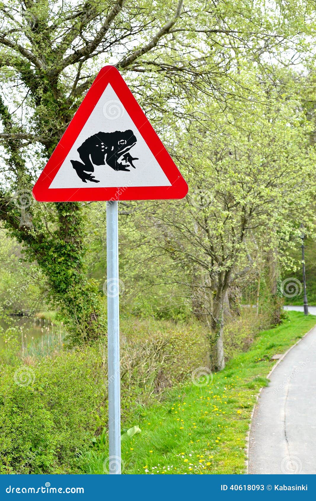 Road Sign - Caution Frogs on the Road 2 Stock Image - Image of green ...