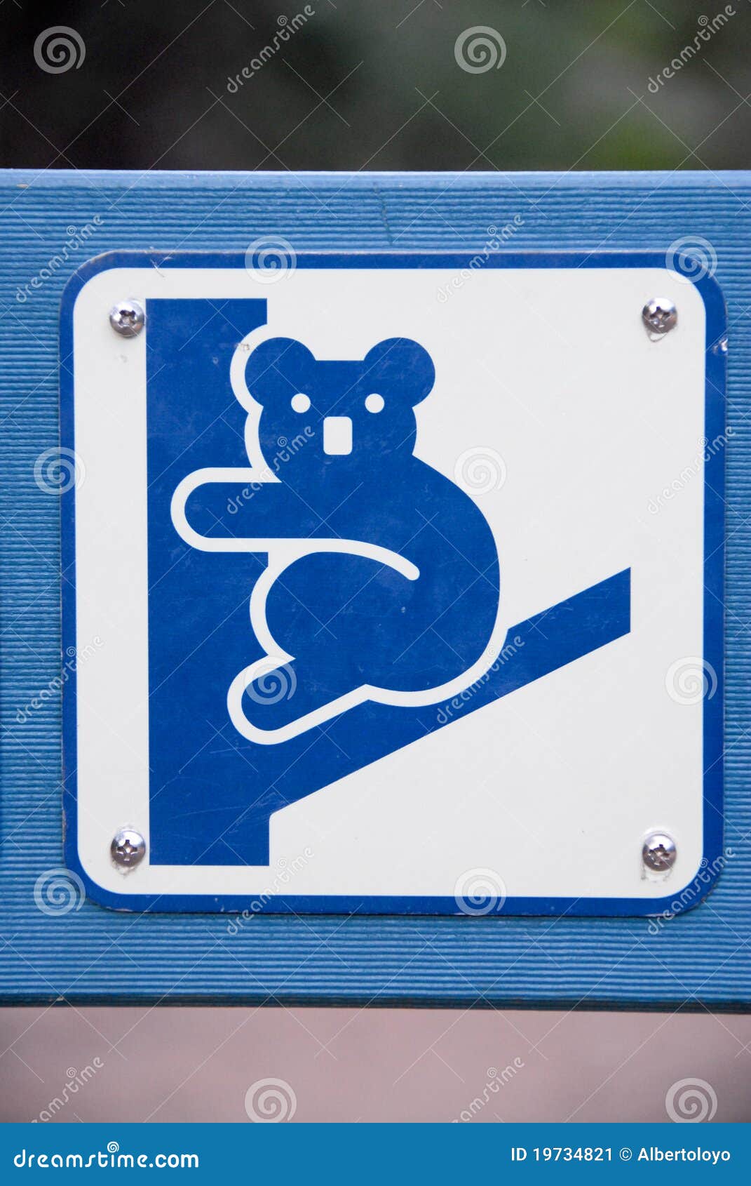 Road sign, caution koalas stock image. Image of wildlife - 19734821