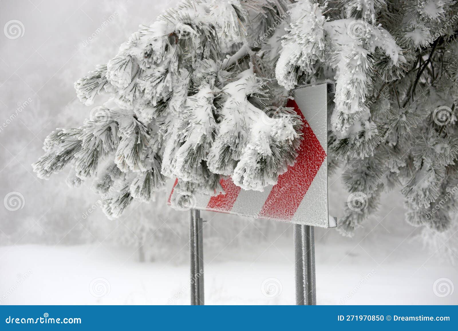 Road Sign Covered with Snow in Winter Landscape. Stock Photo - Image of ...